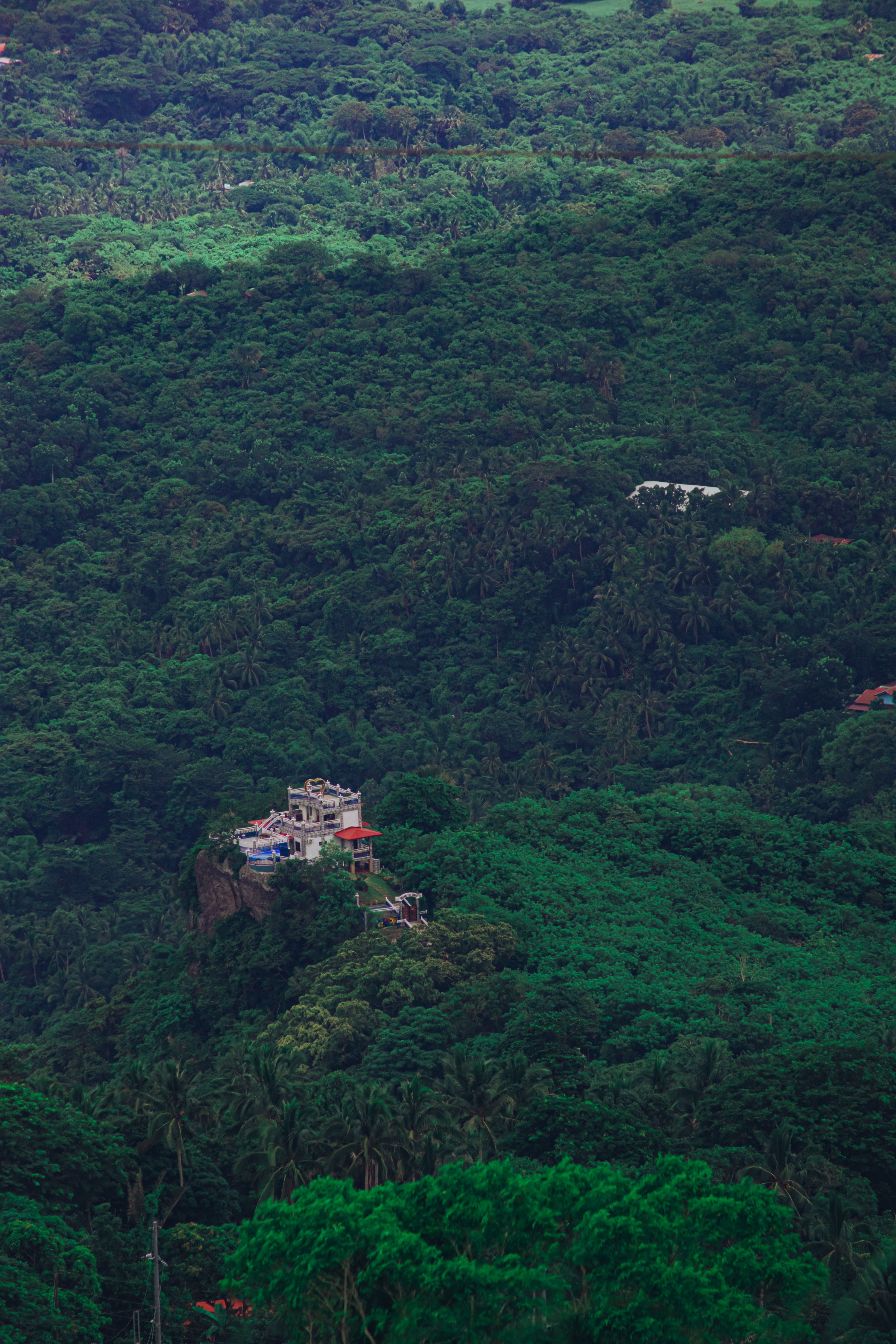 Remote House Amidst Lush Green Forest Landscape · Free Stock Photo