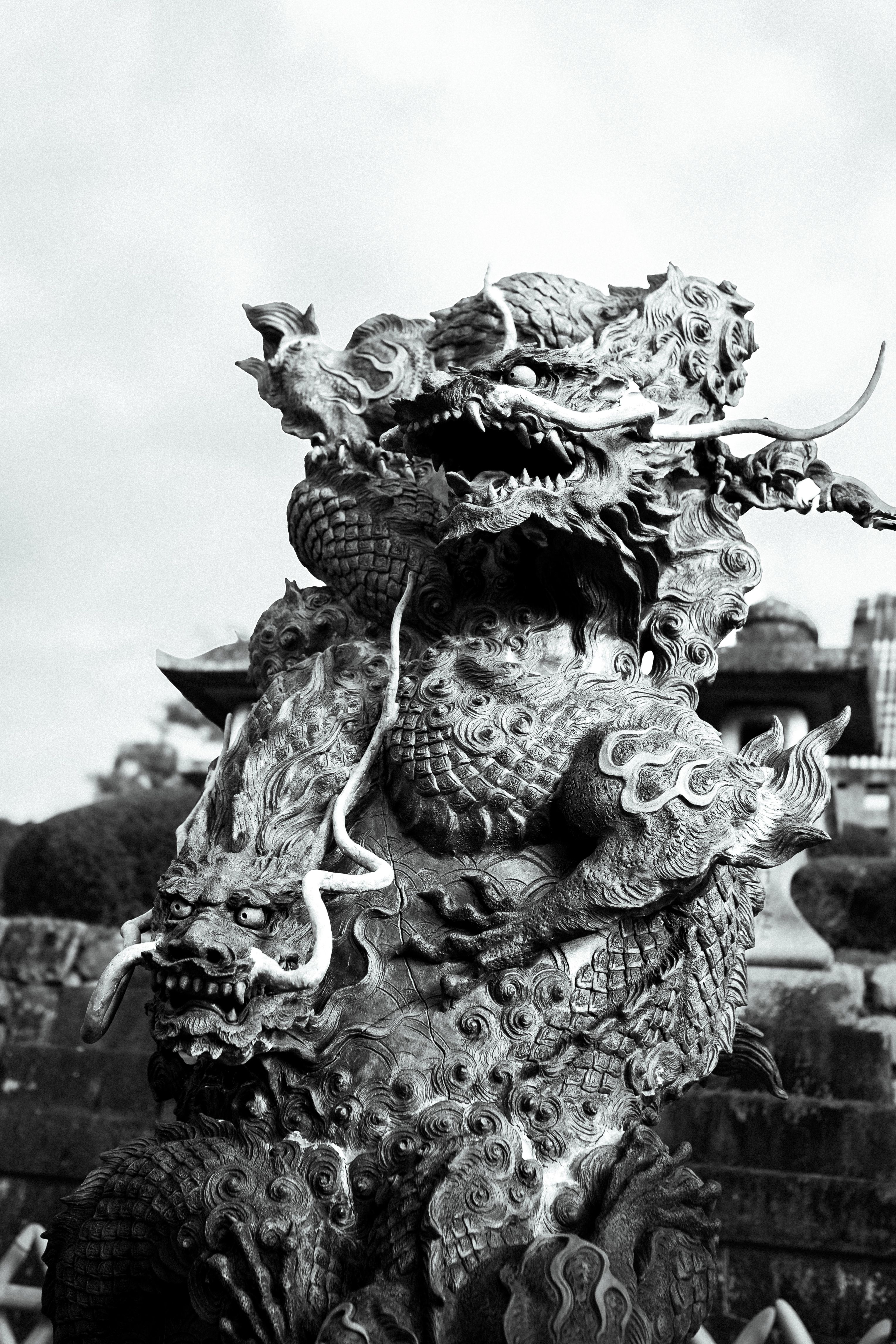 Welsh Dragon Photos, Download The BEST Free Welsh Dragon Stock Photos ...