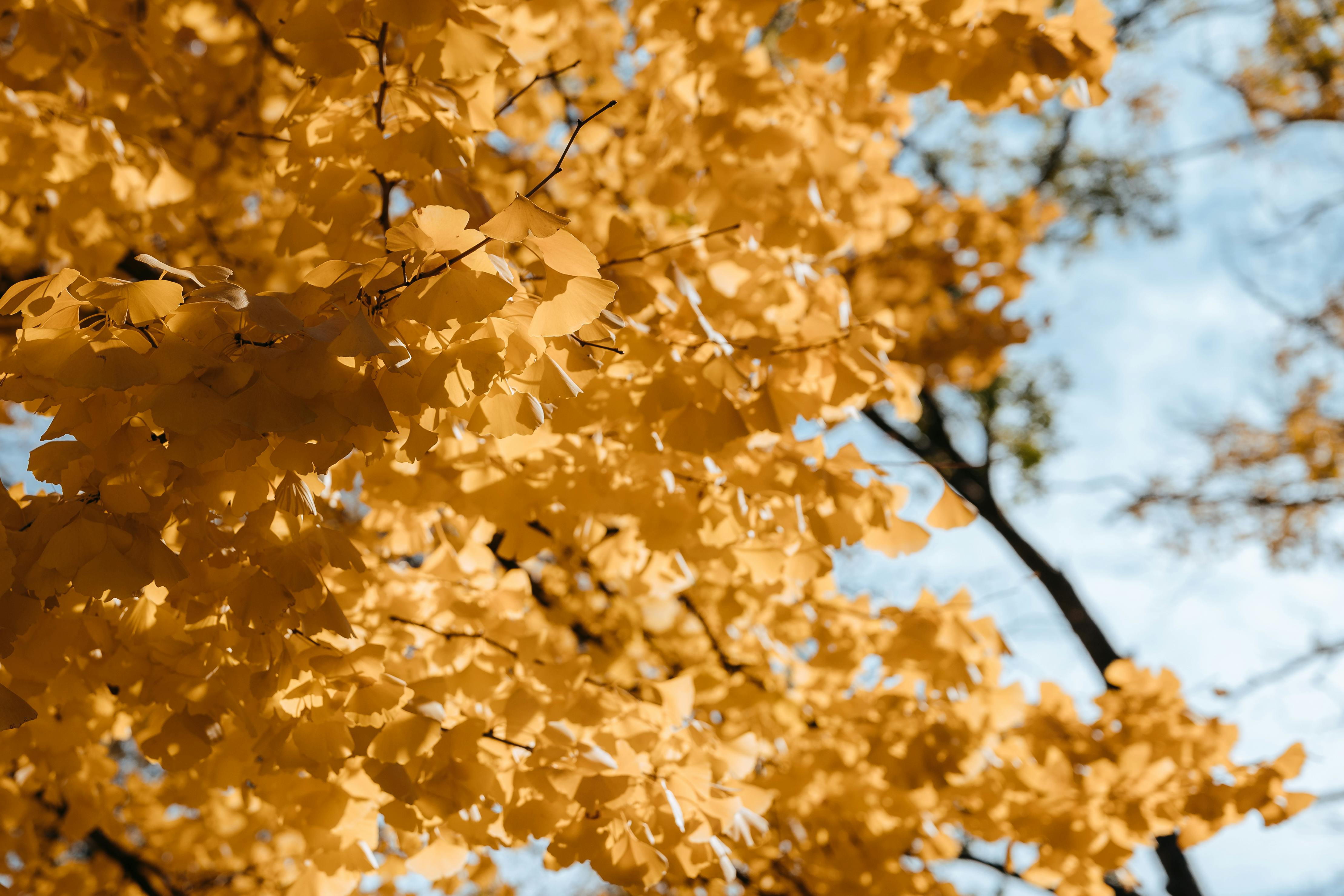 5mb Photo Photos, Download The BEST Free 5mb Photo Stock Photos & HD Images