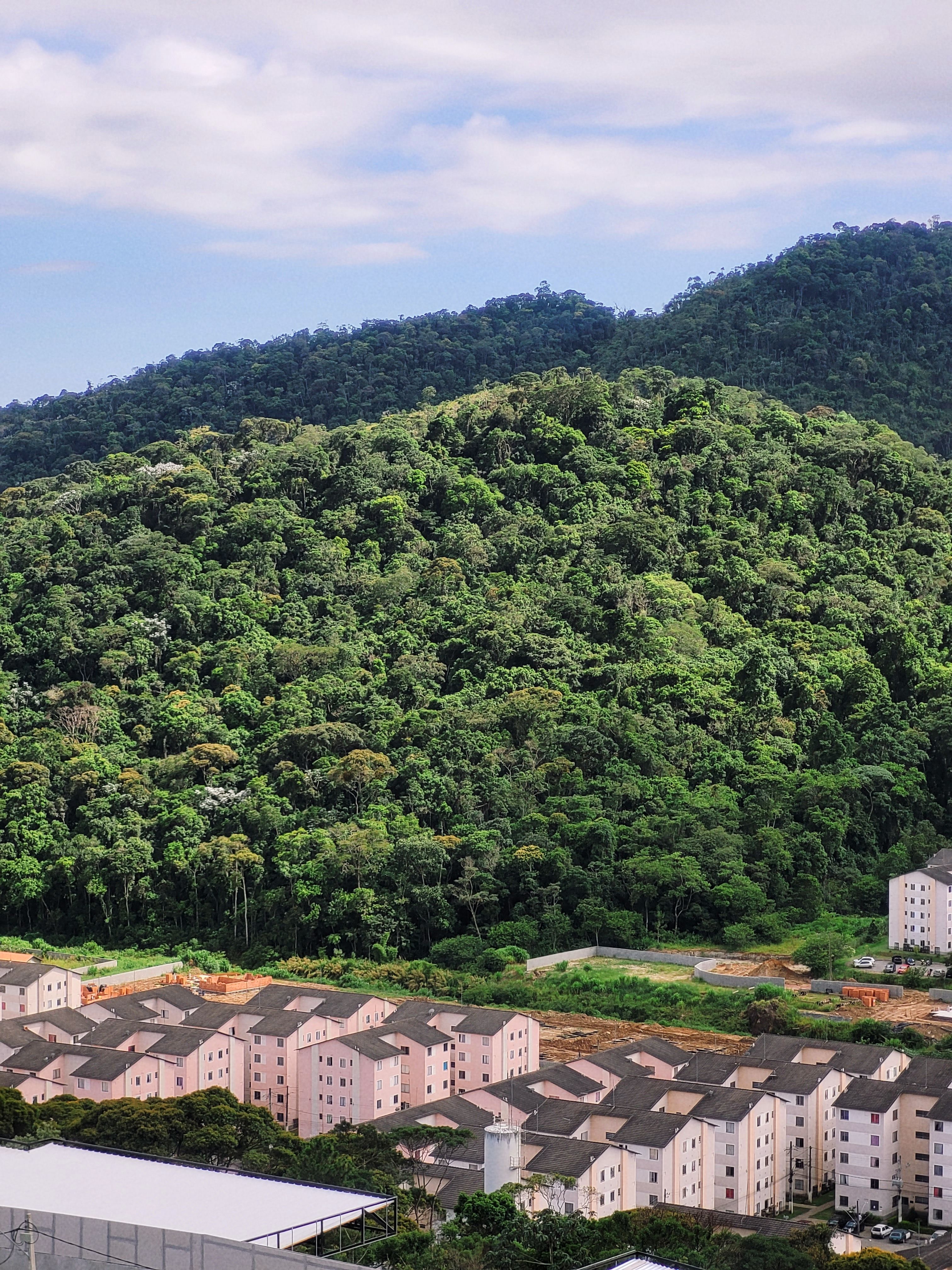 Urbanization Photos, Download The BEST Free Urbanization Stock Photos ...