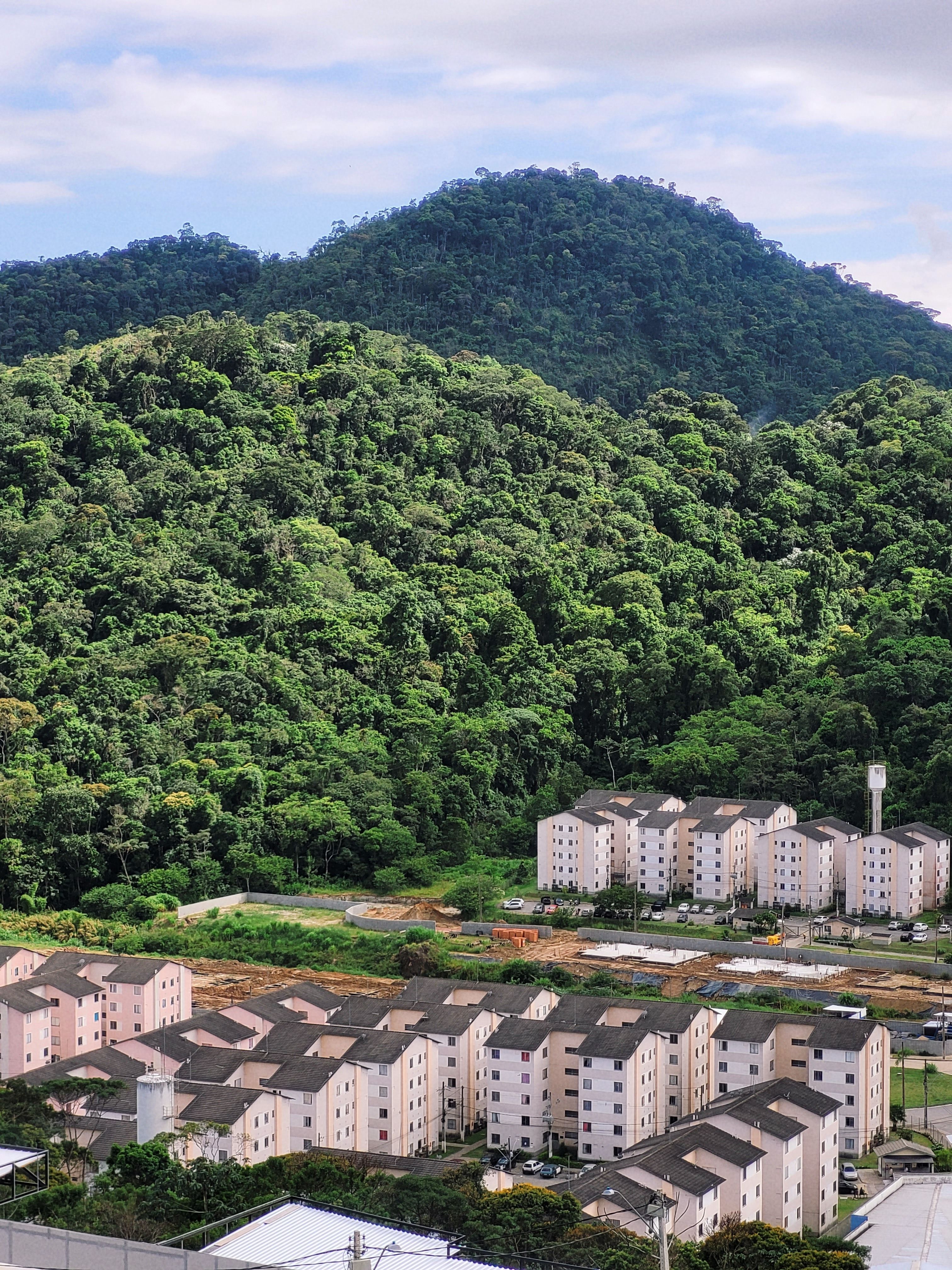 Urbanization Photos, Download The BEST Free Urbanization Stock Photos ...