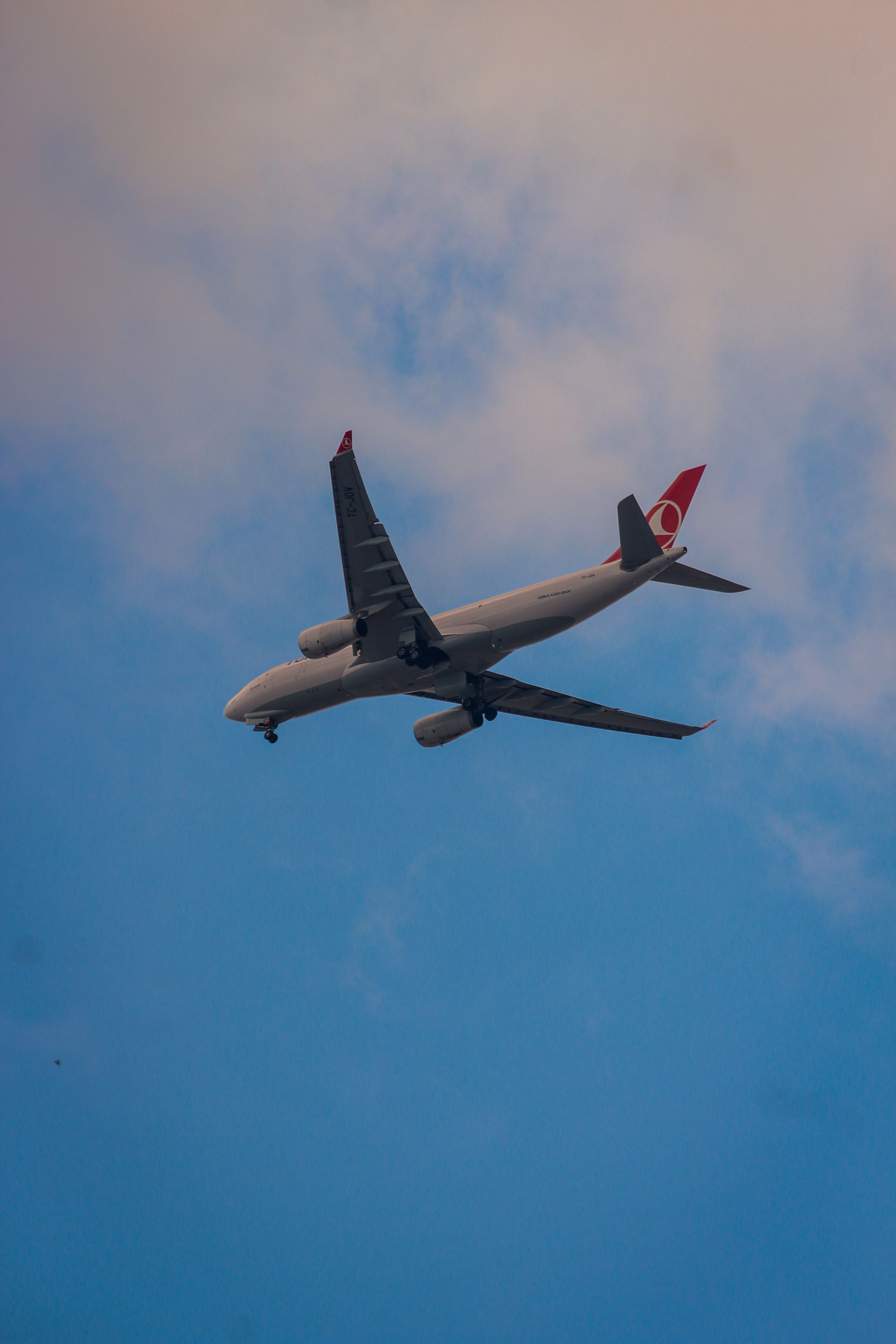 Boeing 787 Photos, Download The BEST Free Boeing 787 Stock Photos & HD ...