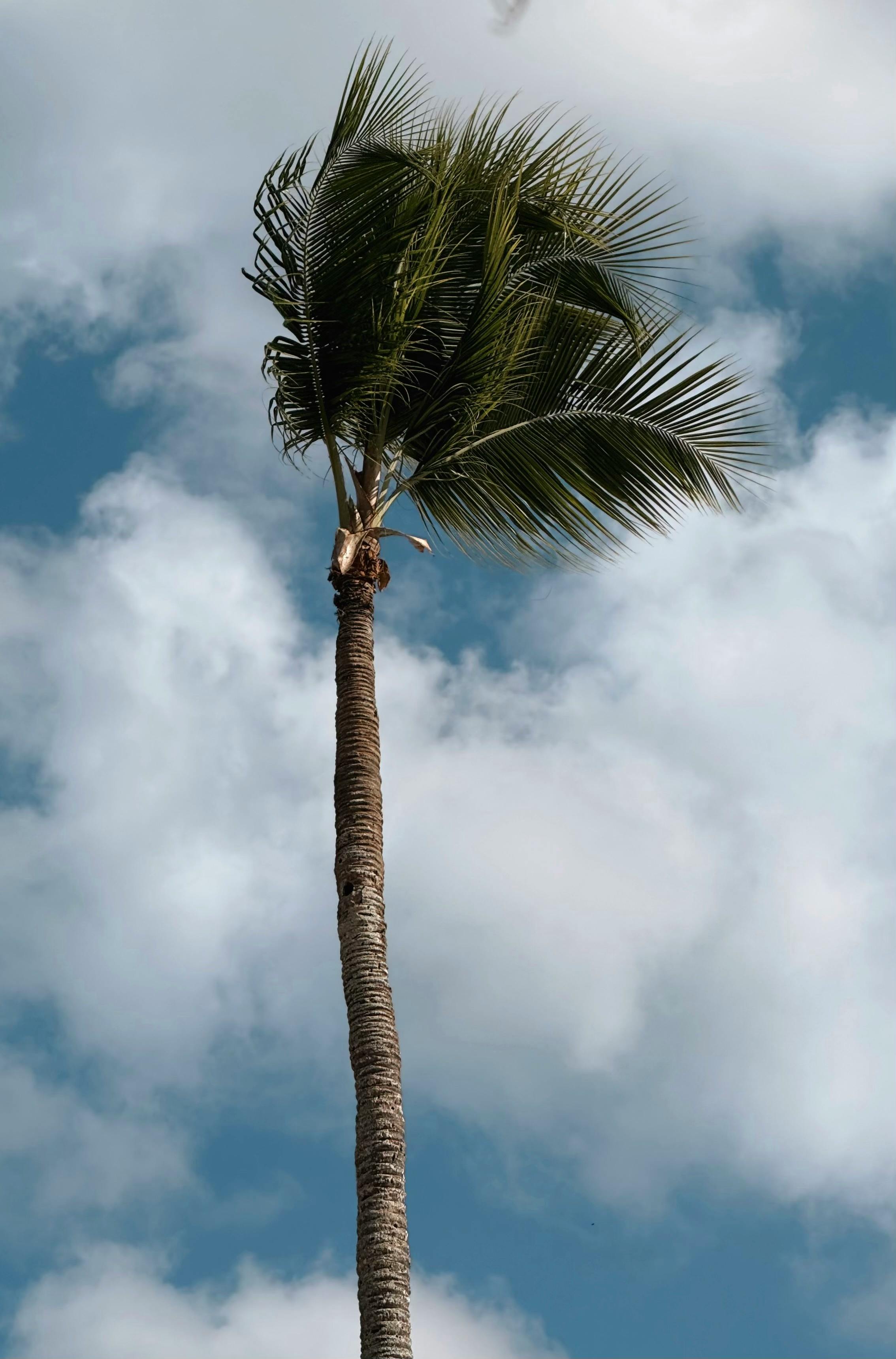 Tall Island Photos, Download The BEST Free Tall Island Stock Photos ...