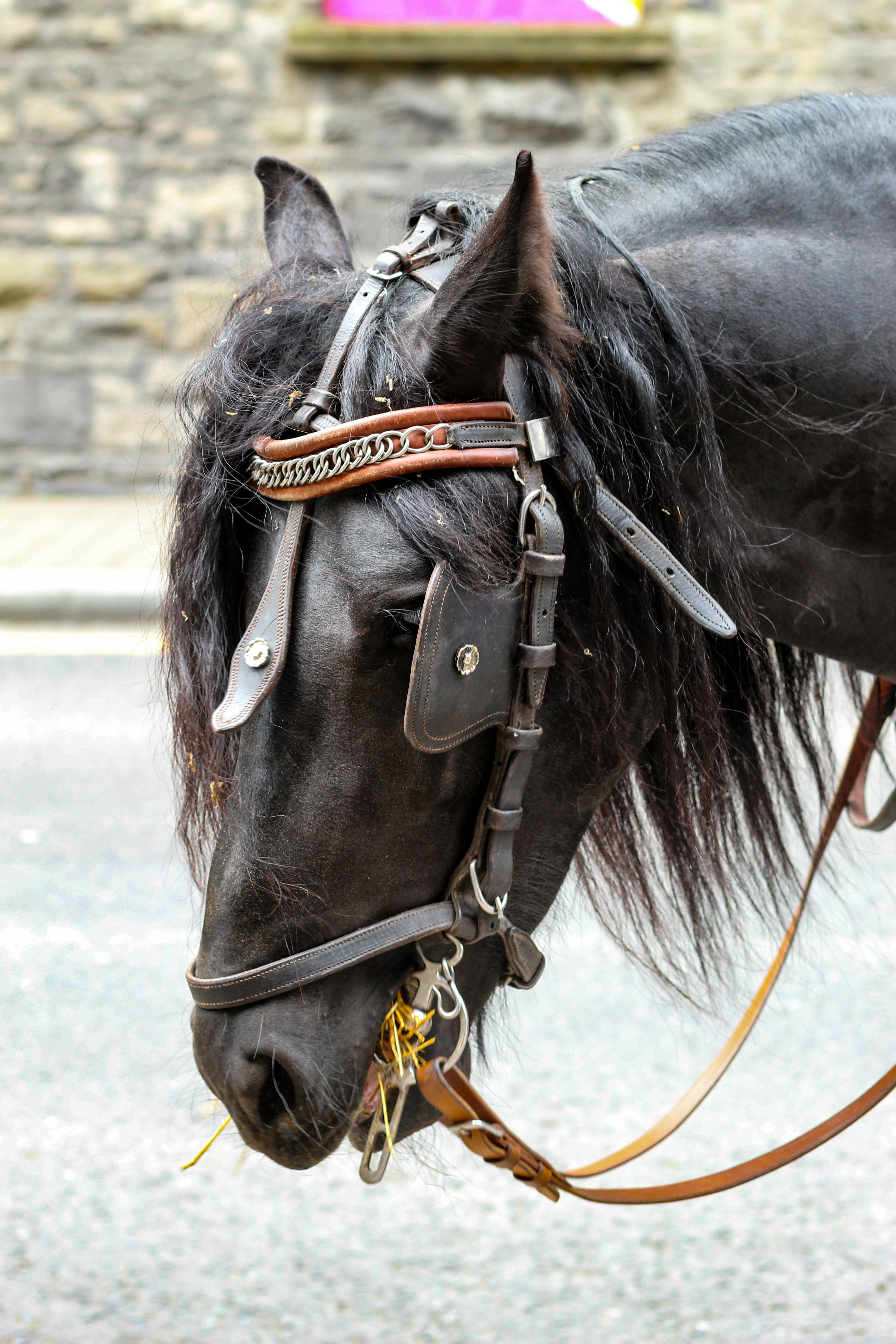 5mb Photo Photos, Download The BEST Free 5mb Photo Stock Photos & HD Images