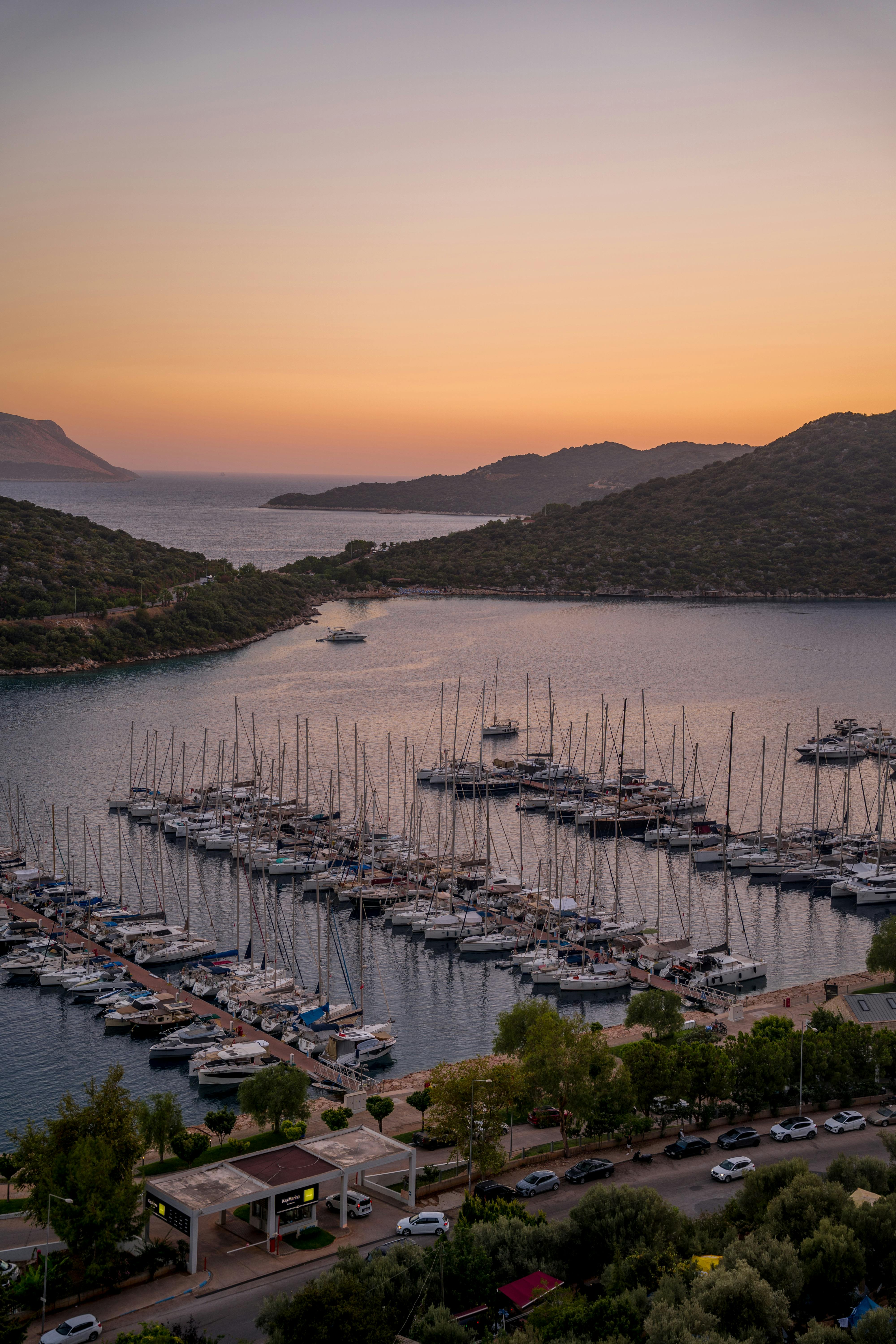 Party Cove Photos, Download The BEST Free Party Cove Stock Photos & HD ...