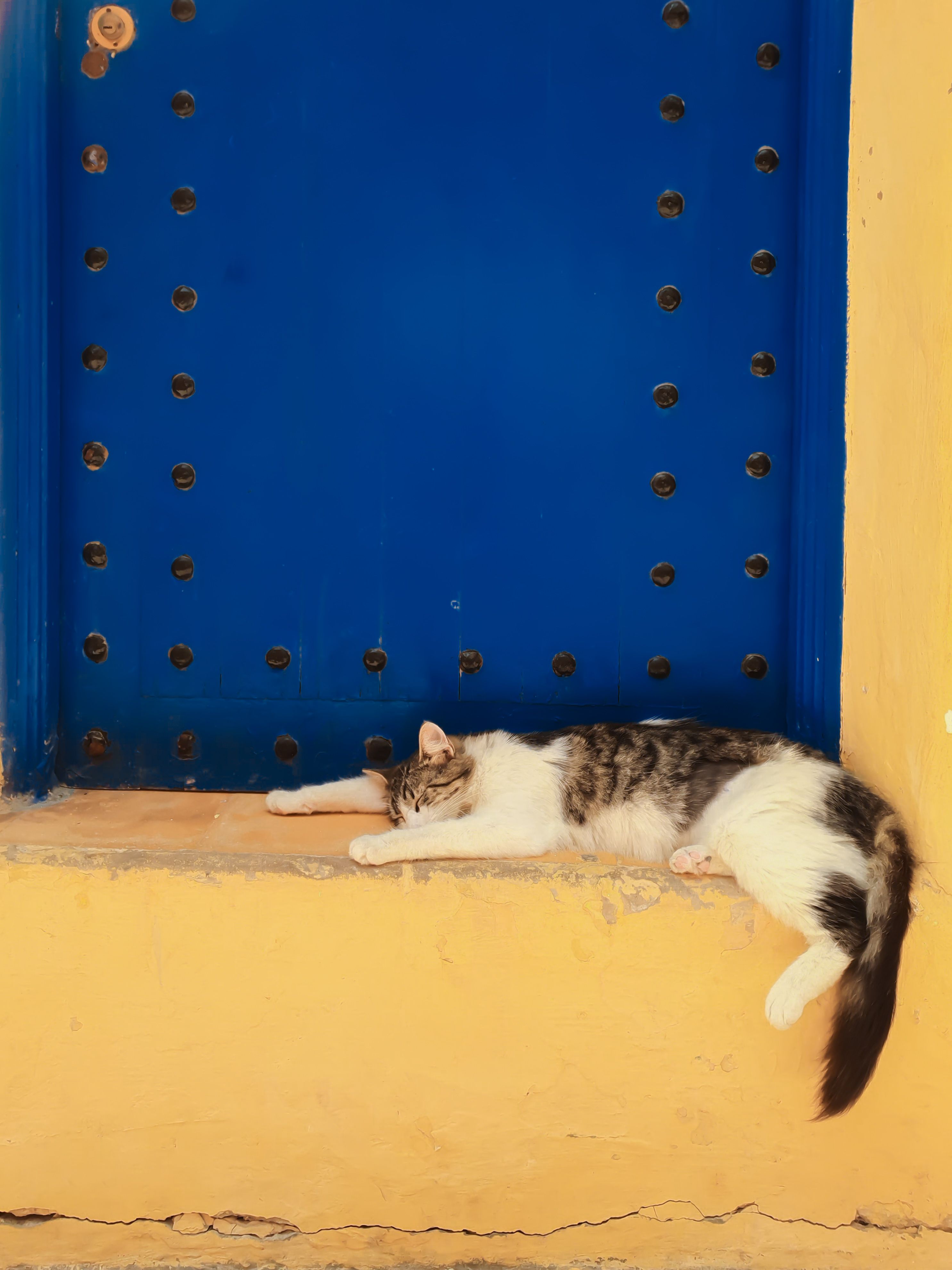 August Photos, Download The BEST Free August Stock Photos & HD Images
