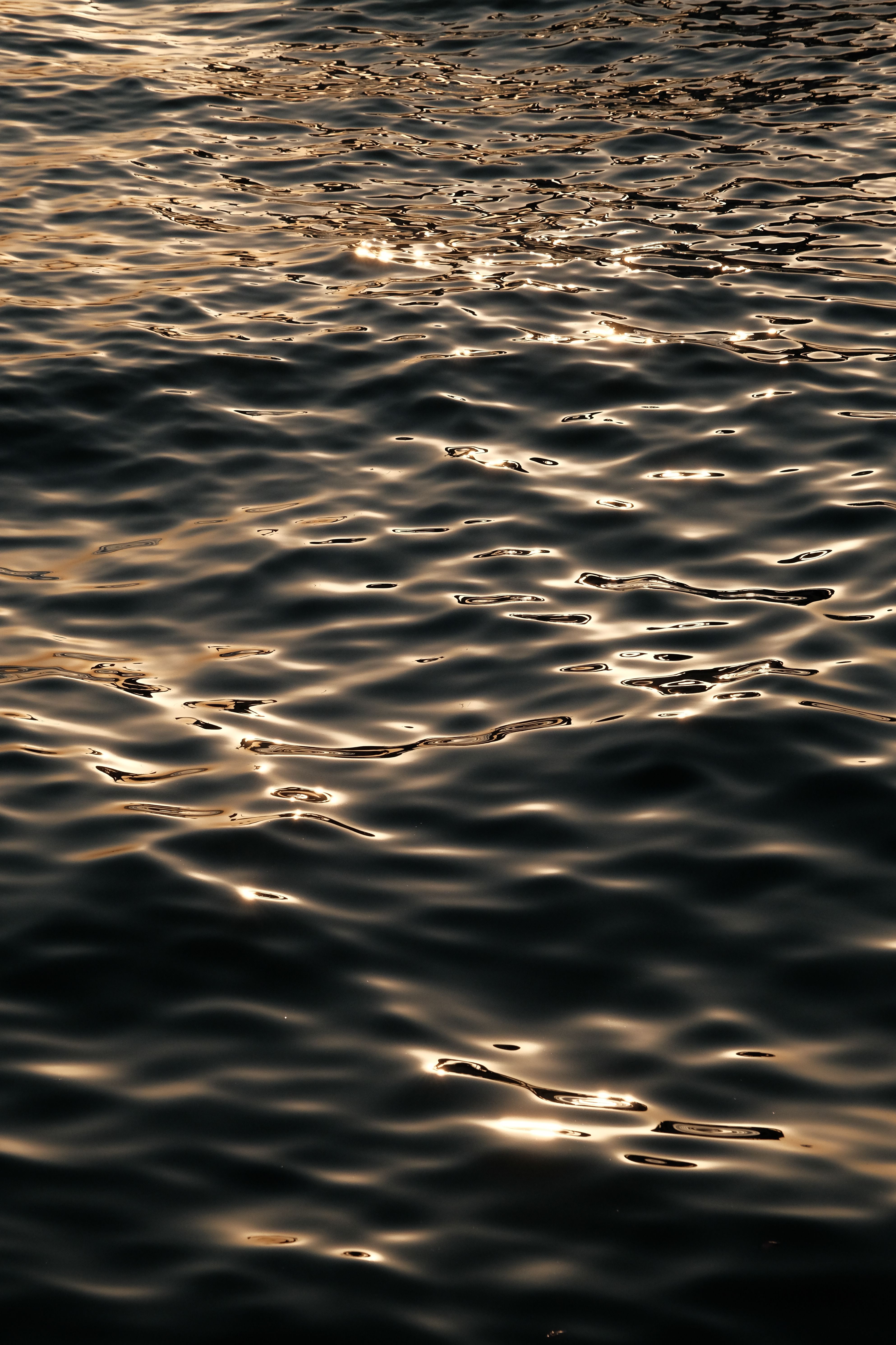 Sunset Light Reflecting on Ocean Waves · Free Stock Photo