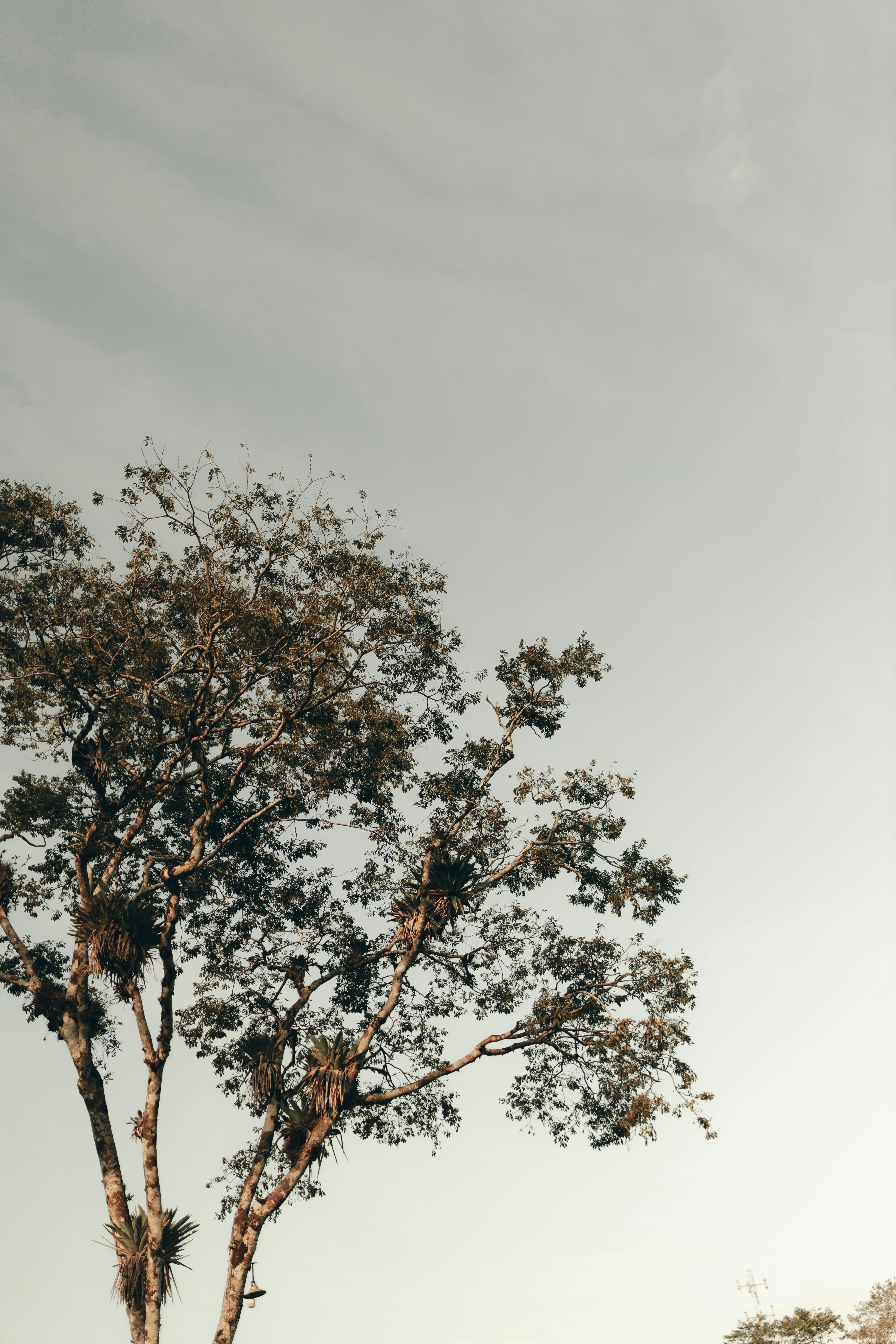 Timeless Environment Photos, Download The BEST Free Timeless ...