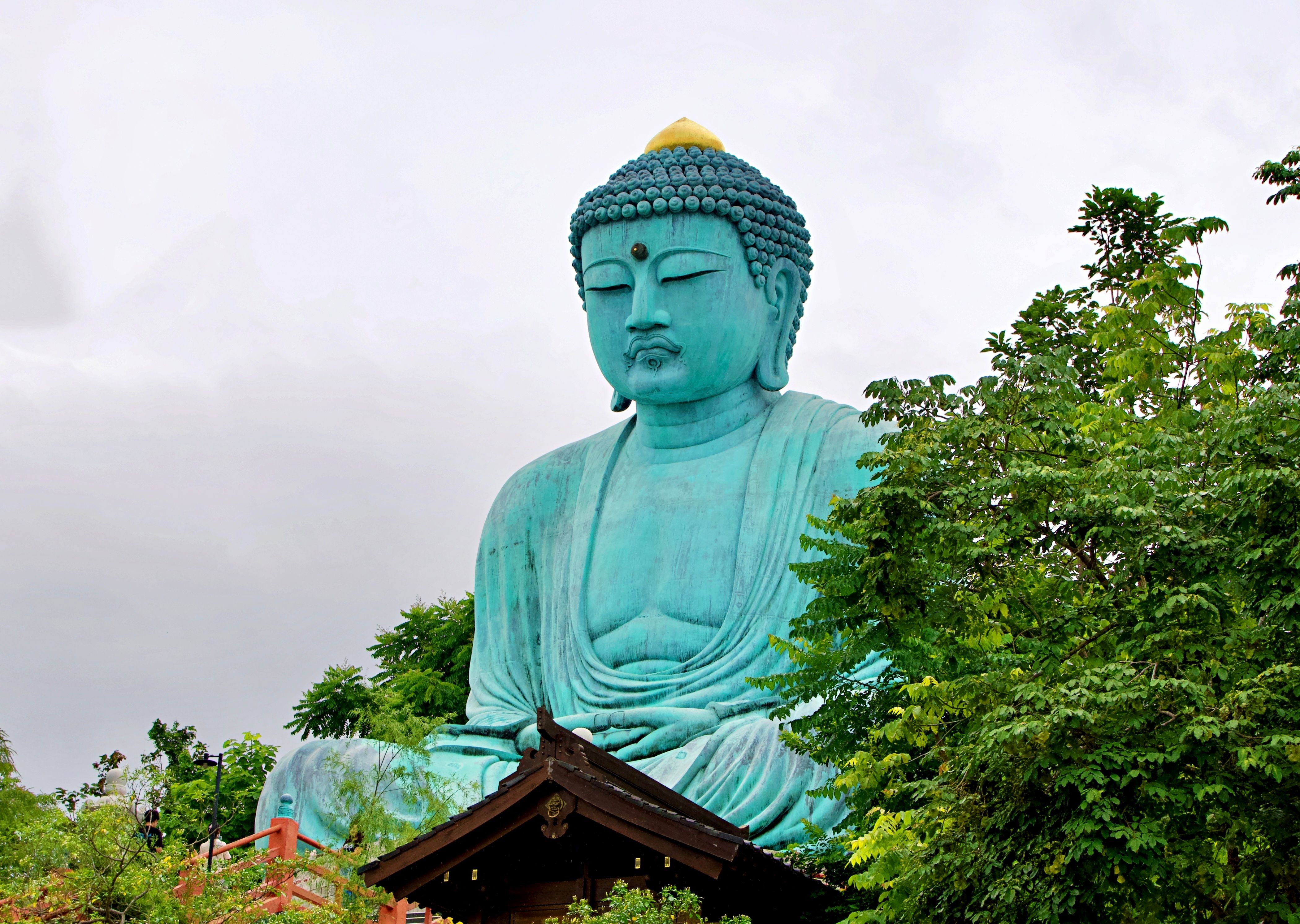 Majestic Buddha Statue Amidst Lush Foliage in Thailand · Free Stock Photo