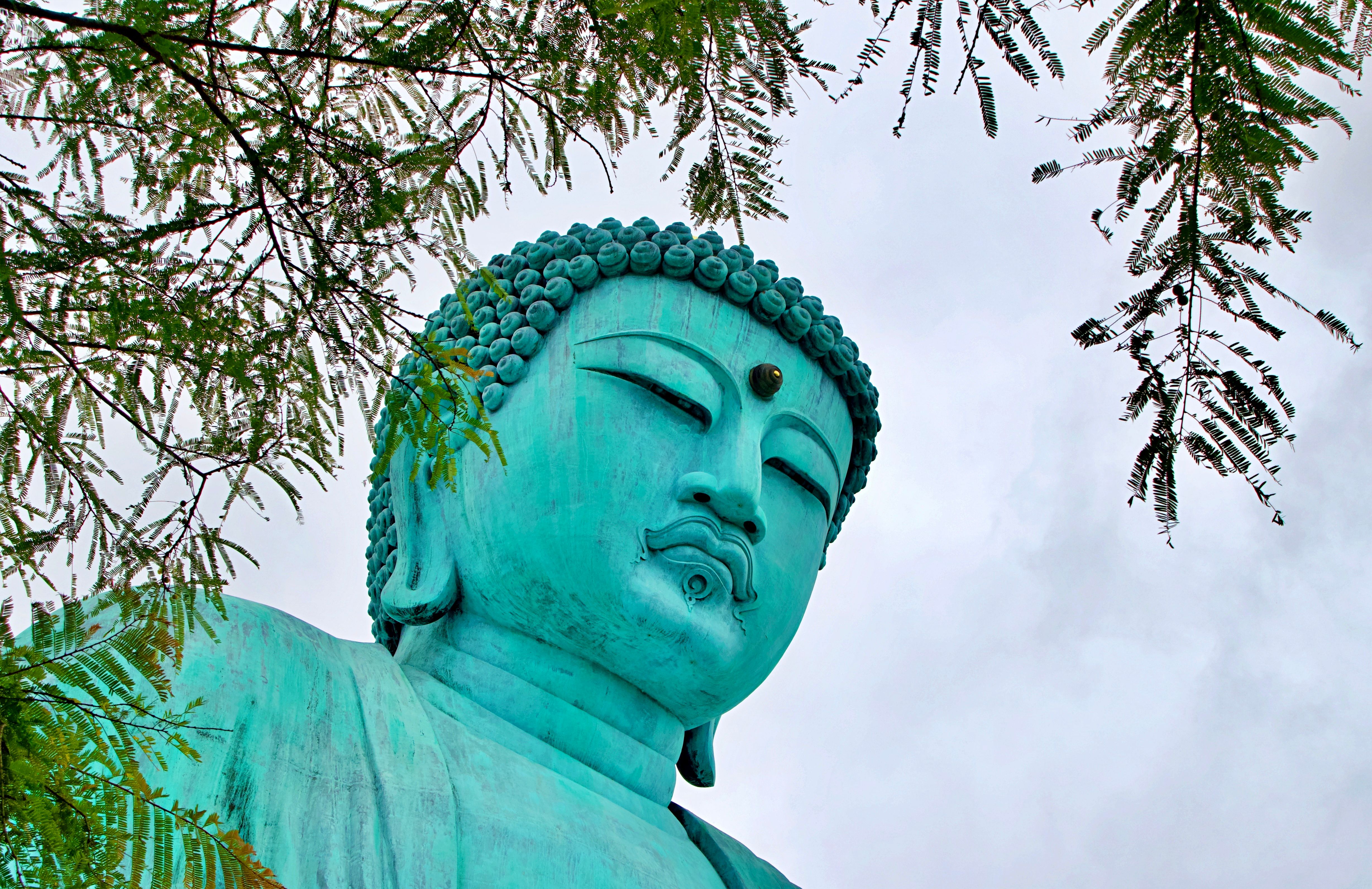 Payanak Thailand Photos, Download The BEST Free Payanak Thailand Stock ...