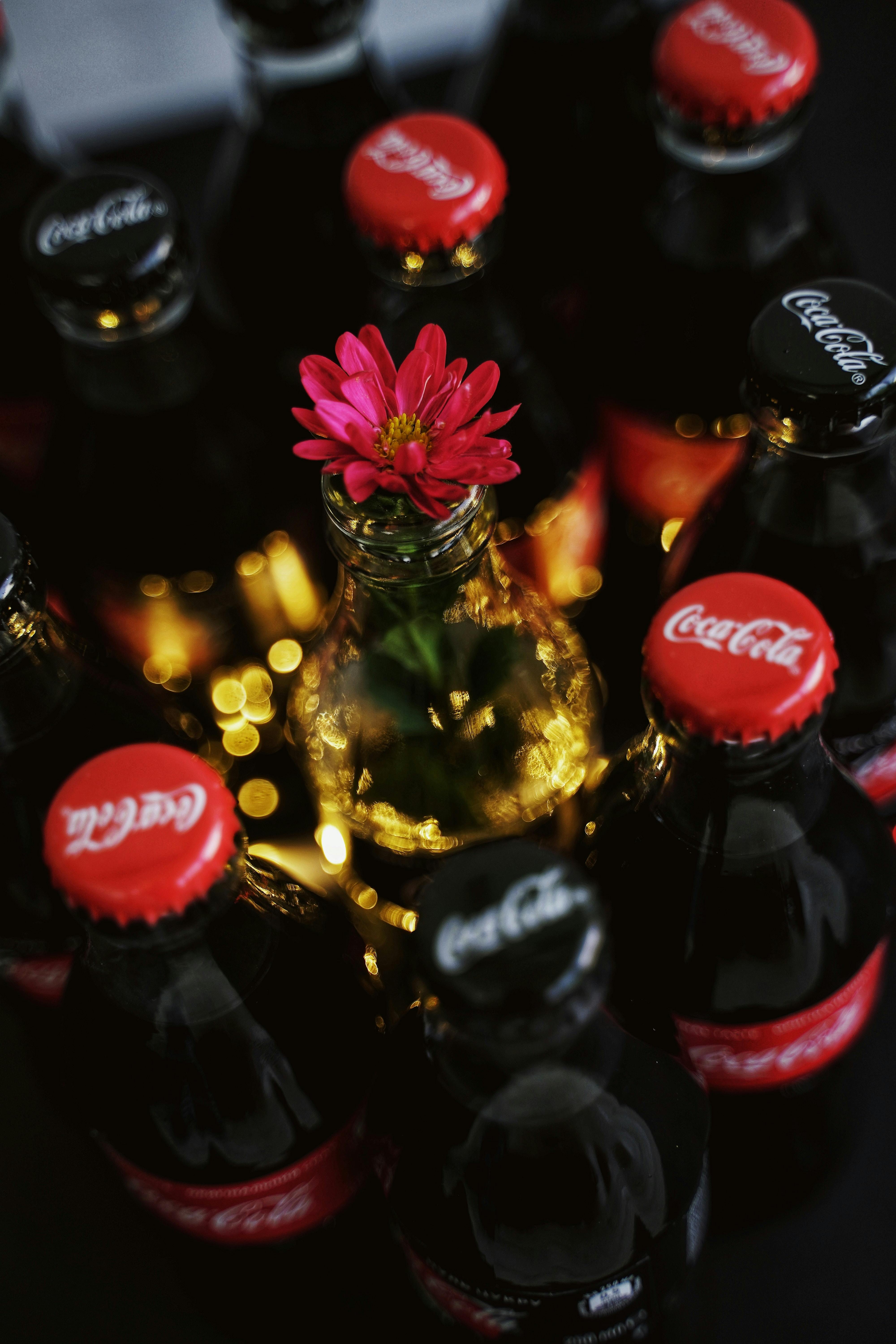 Flower on Coca-Cola Bottle · Free Stock Photo