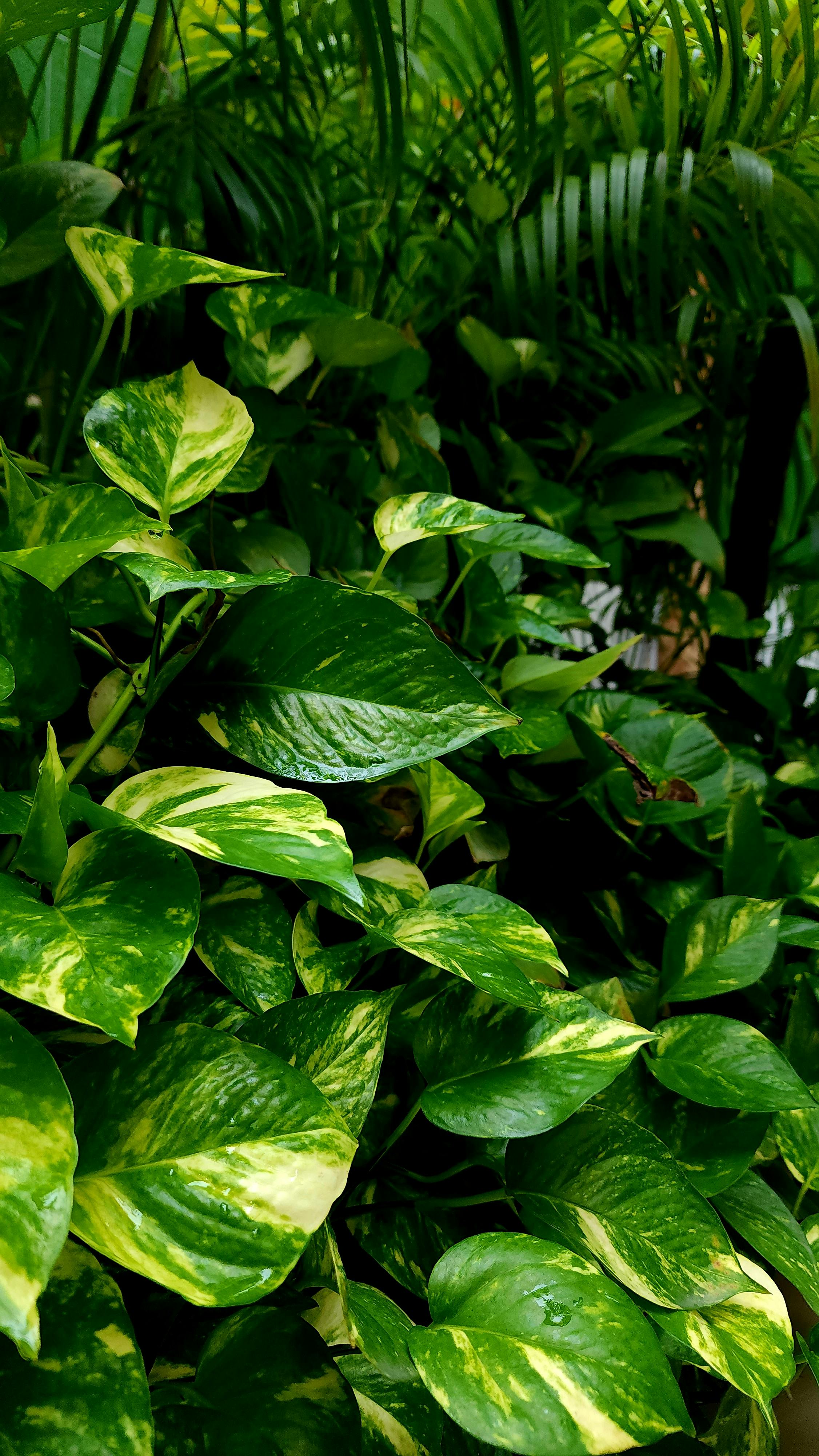 Free+Bitmap+Images Photos, Download The BEST Free Free+Bitmap+Images ...