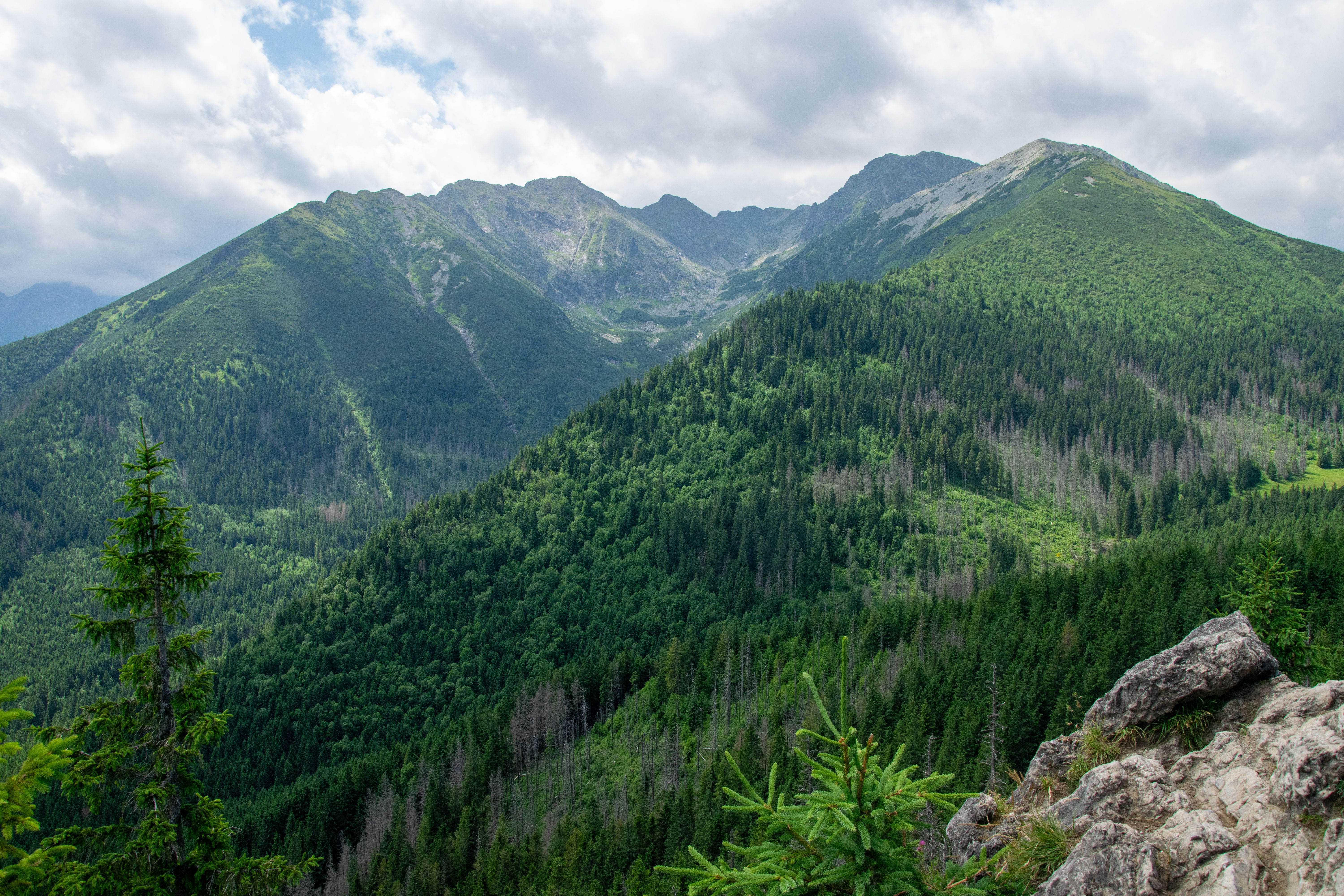 Scenic View of Verdant Mountain Landscape · Free Stock Photo