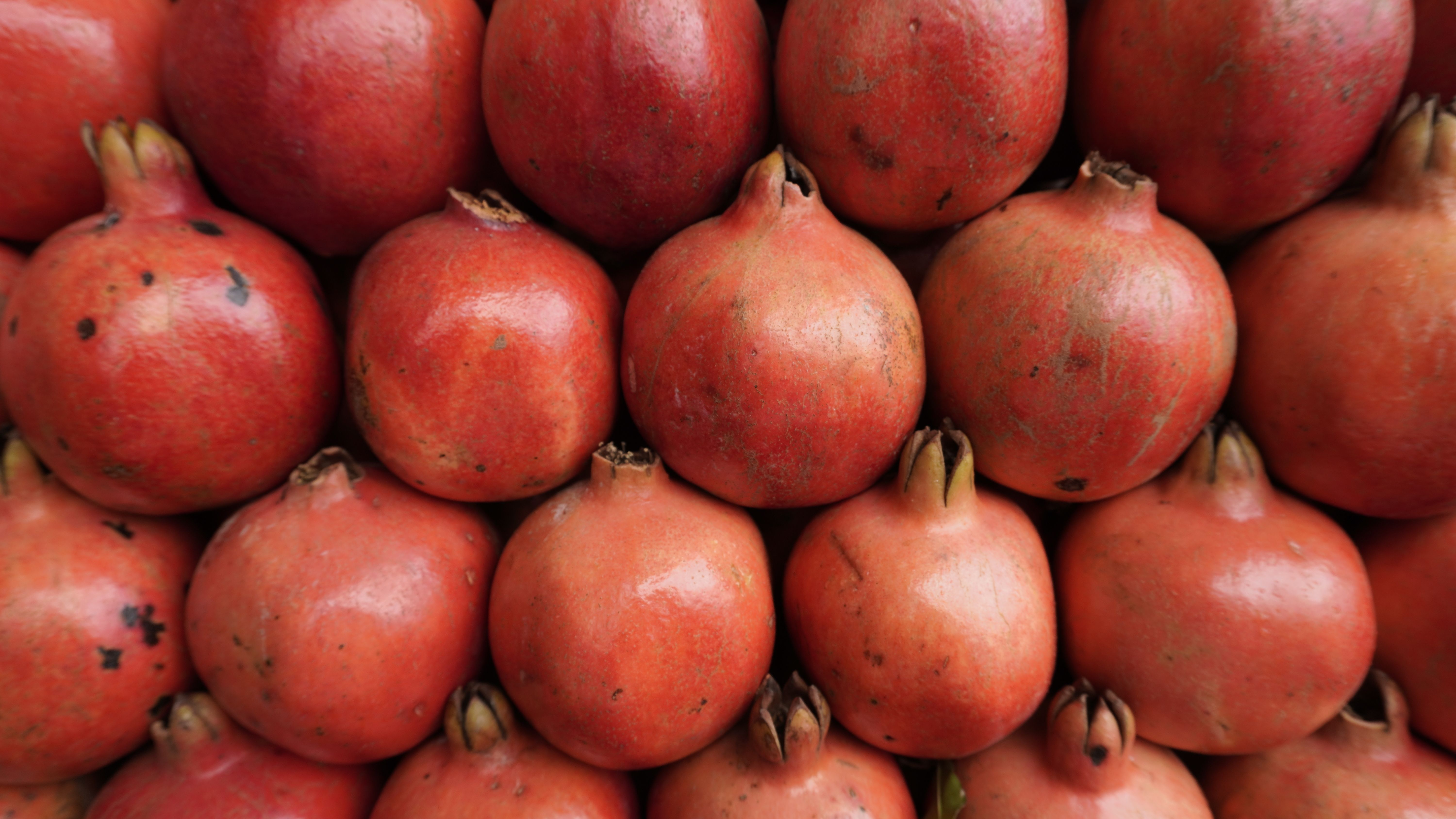 Anar Fruit Photos, Download The BEST Free Anar Fruit Stock Photos & HD ...