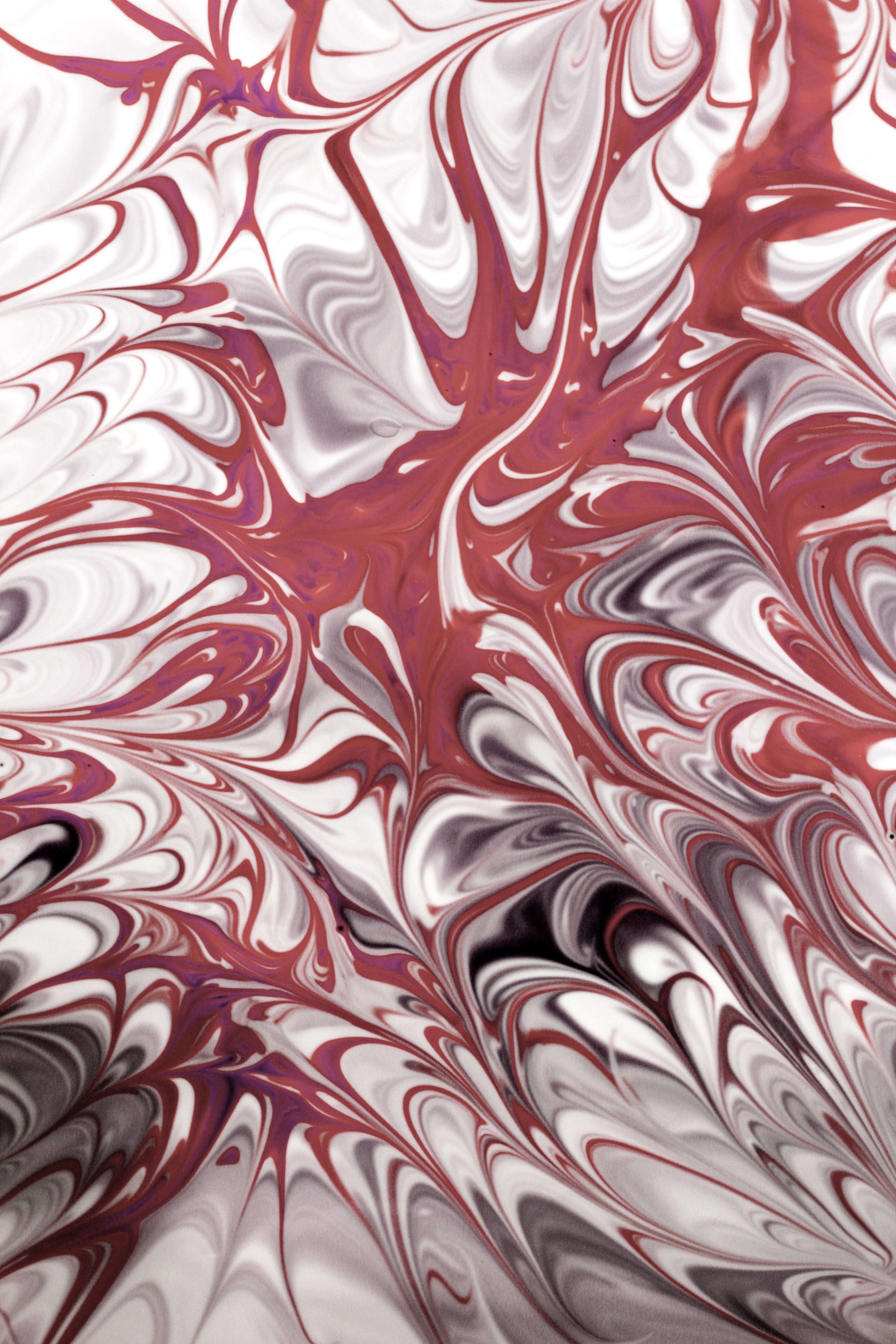 Abstract Red and White Swirl Art Design · Free Stock Photo