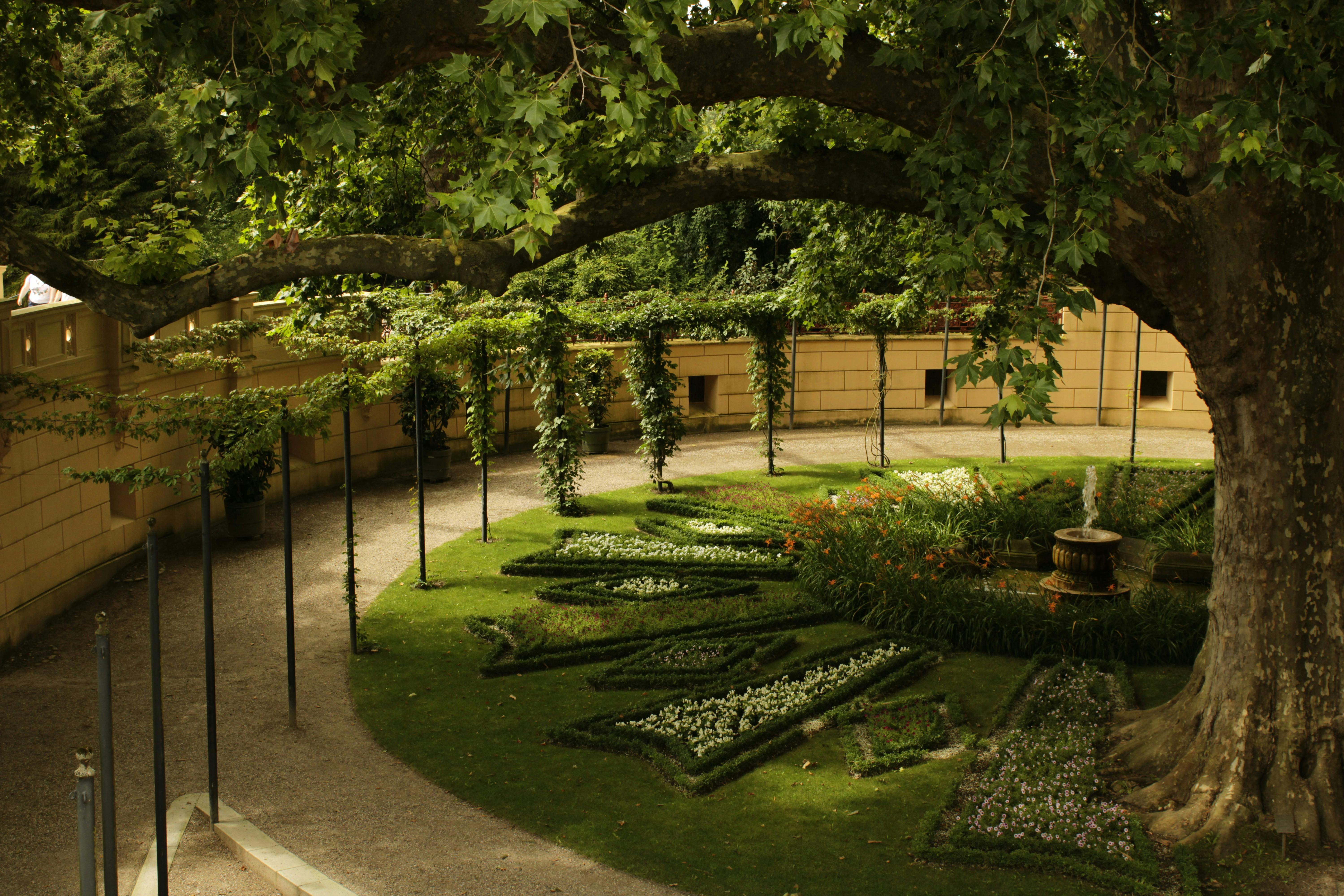 Charming Garden Underneath a Majestic Tree in Schwerin · Free Stock Photo