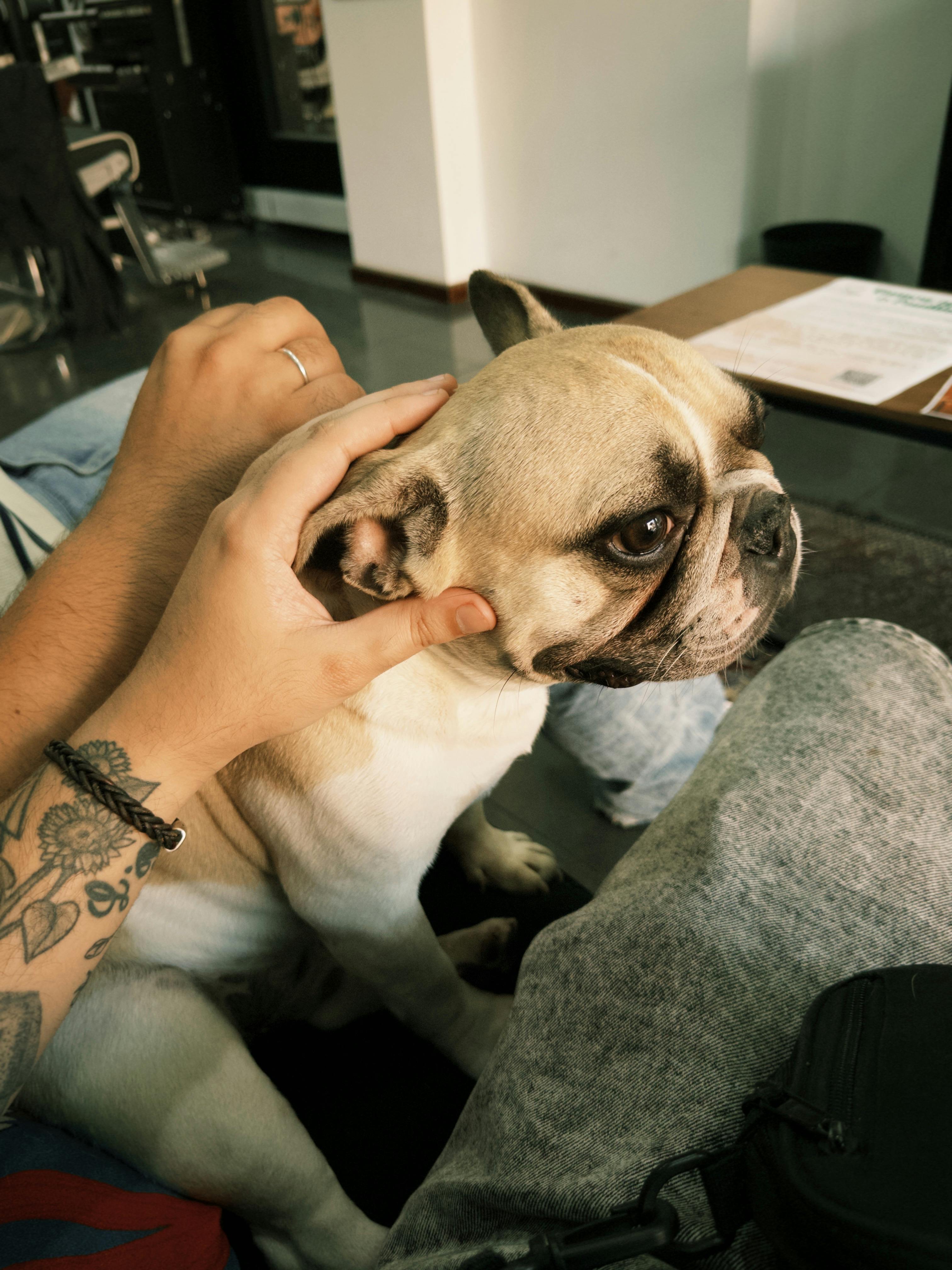 Best+Micro+Bikini+Gifs Photos, Download The BEST Free Best+Micro+Bikini ...