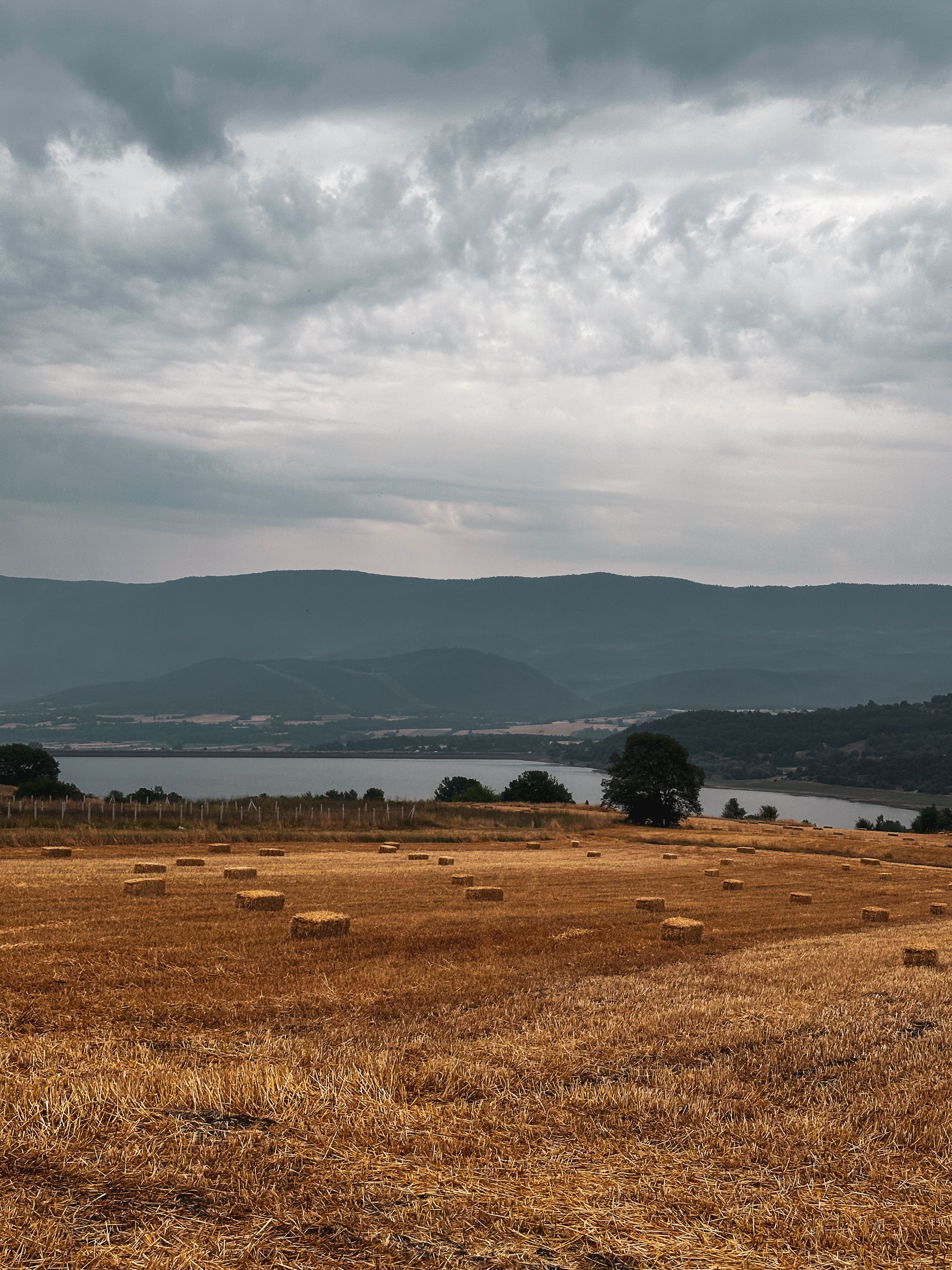 Hollywood+Hay Photos, Download The BEST Free Hollywood+Hay Stock Photos ...