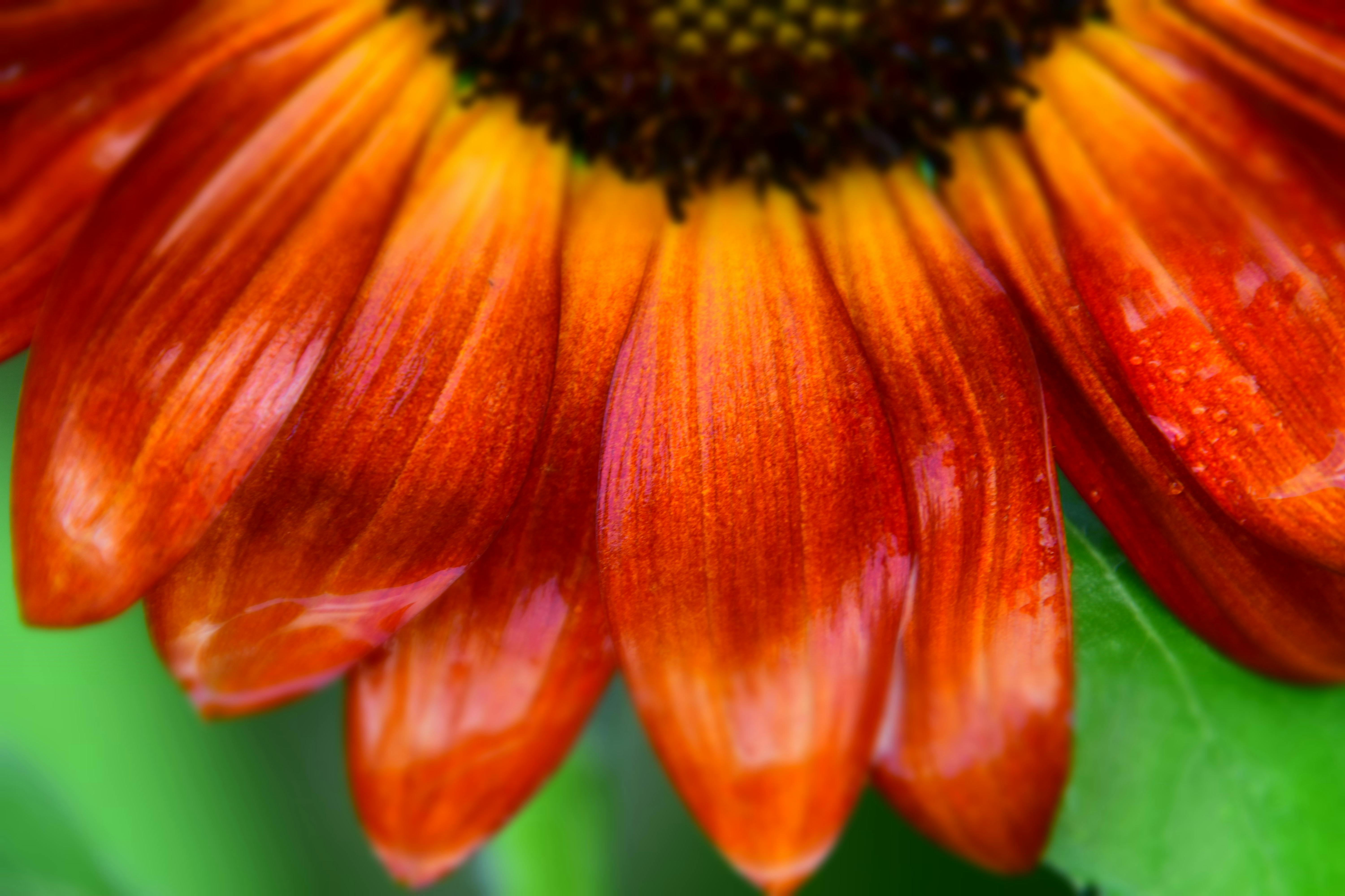 Background Landscape Alam Photos, Download The BEST Free Background ...