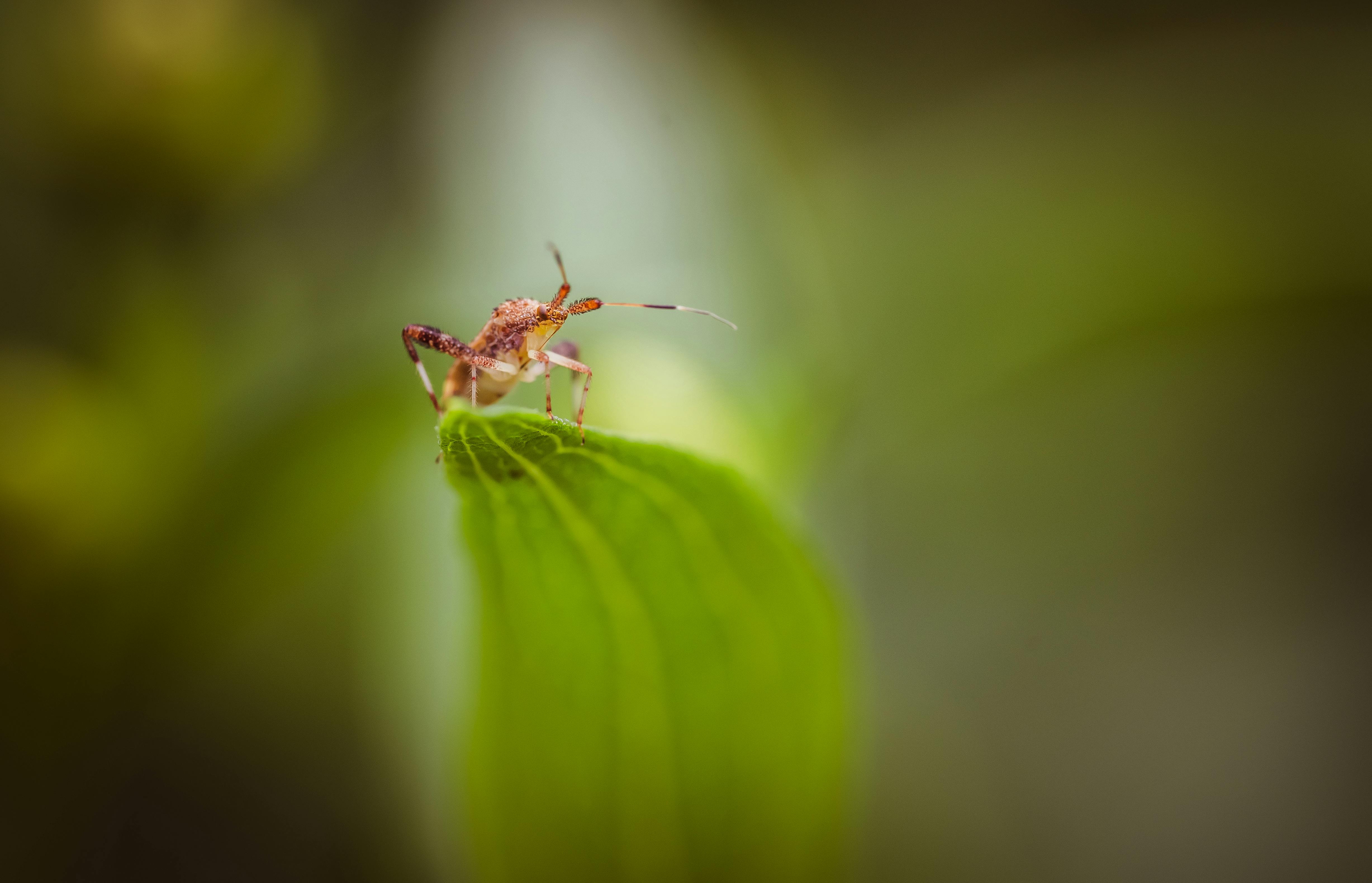 Tiny Coders Photos, Download The BEST Free Tiny Coders Stock Photos & HD Images