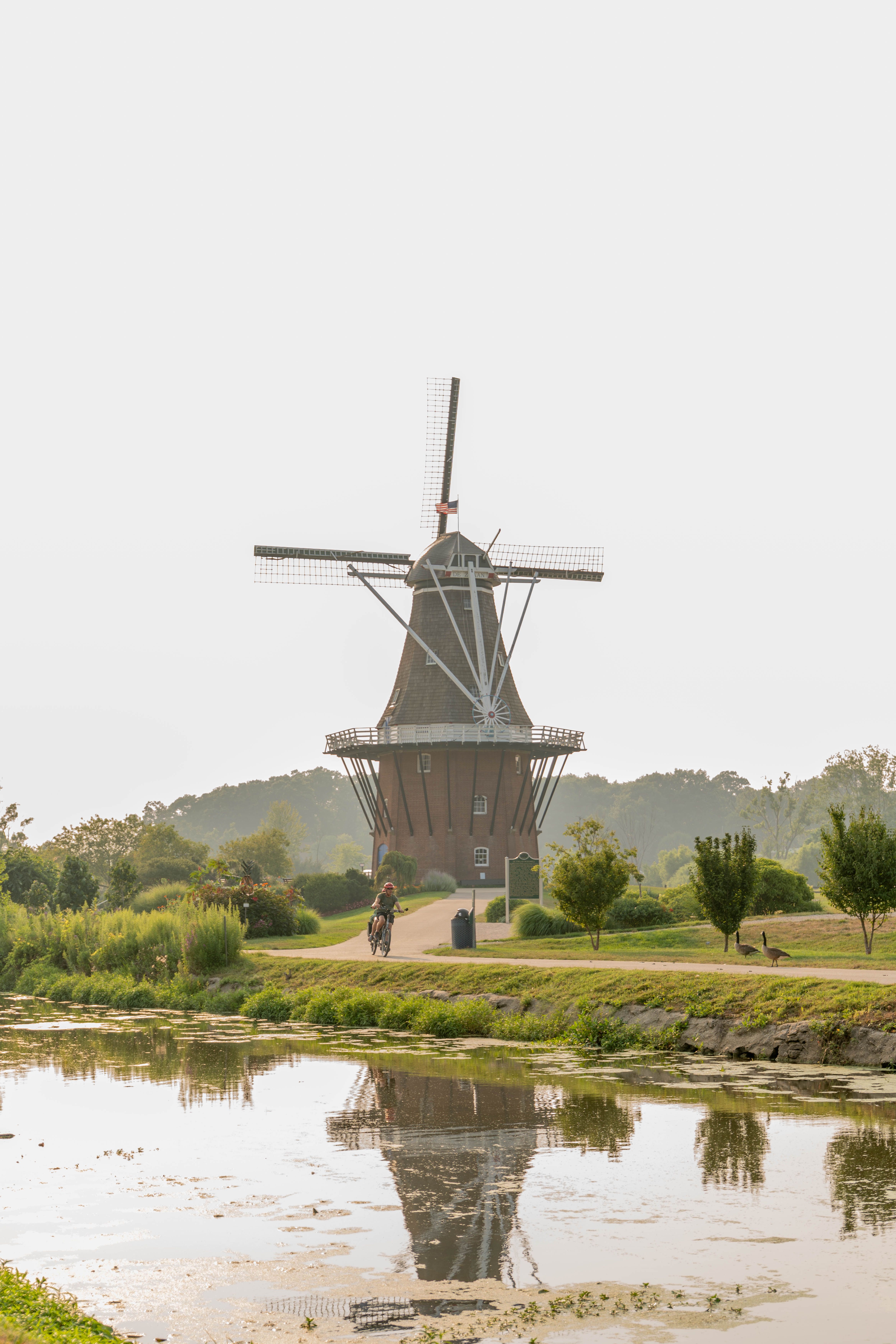 A Pond in a Village · Free Stock Photo