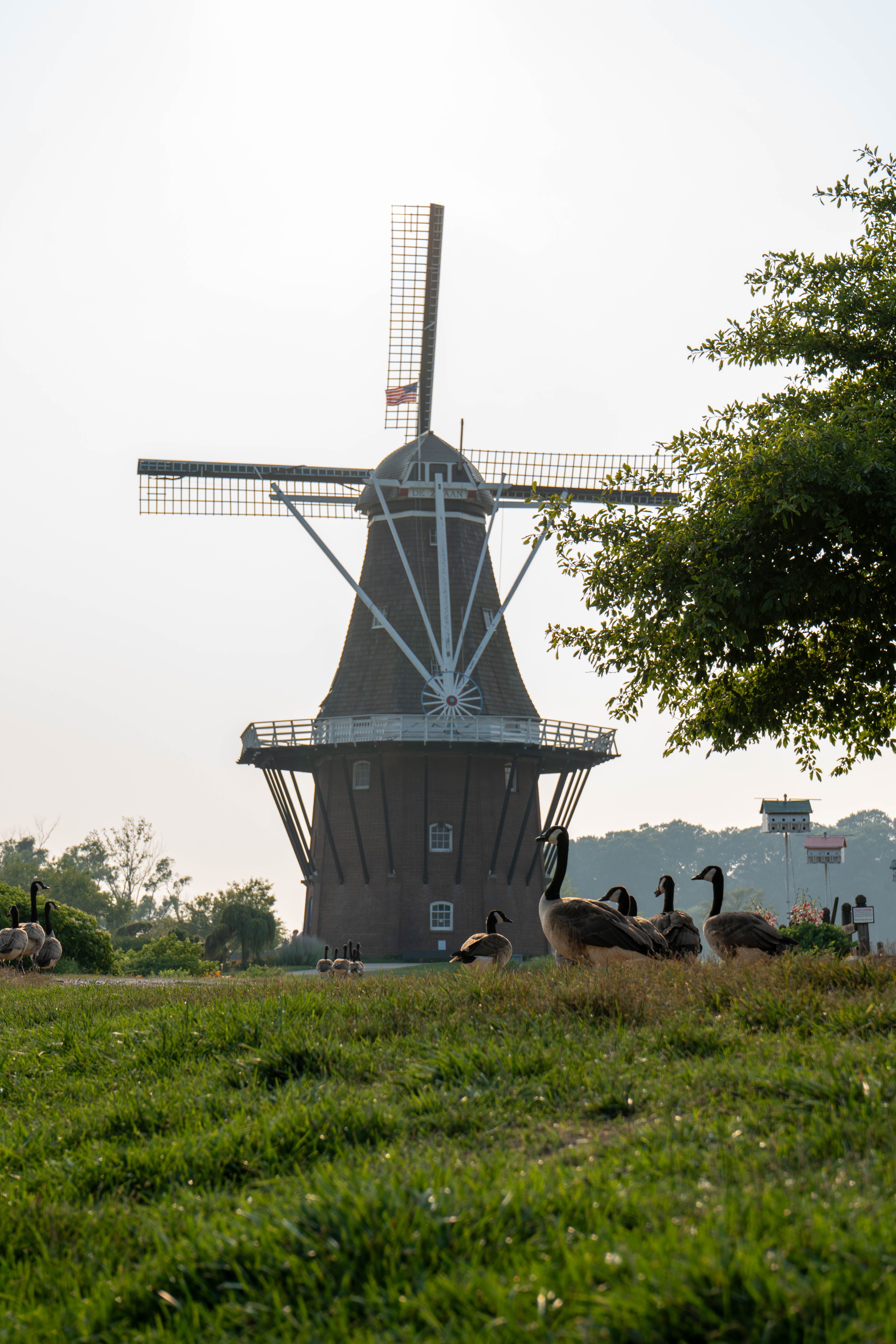 Brown Windmill · Free Stock Photo
