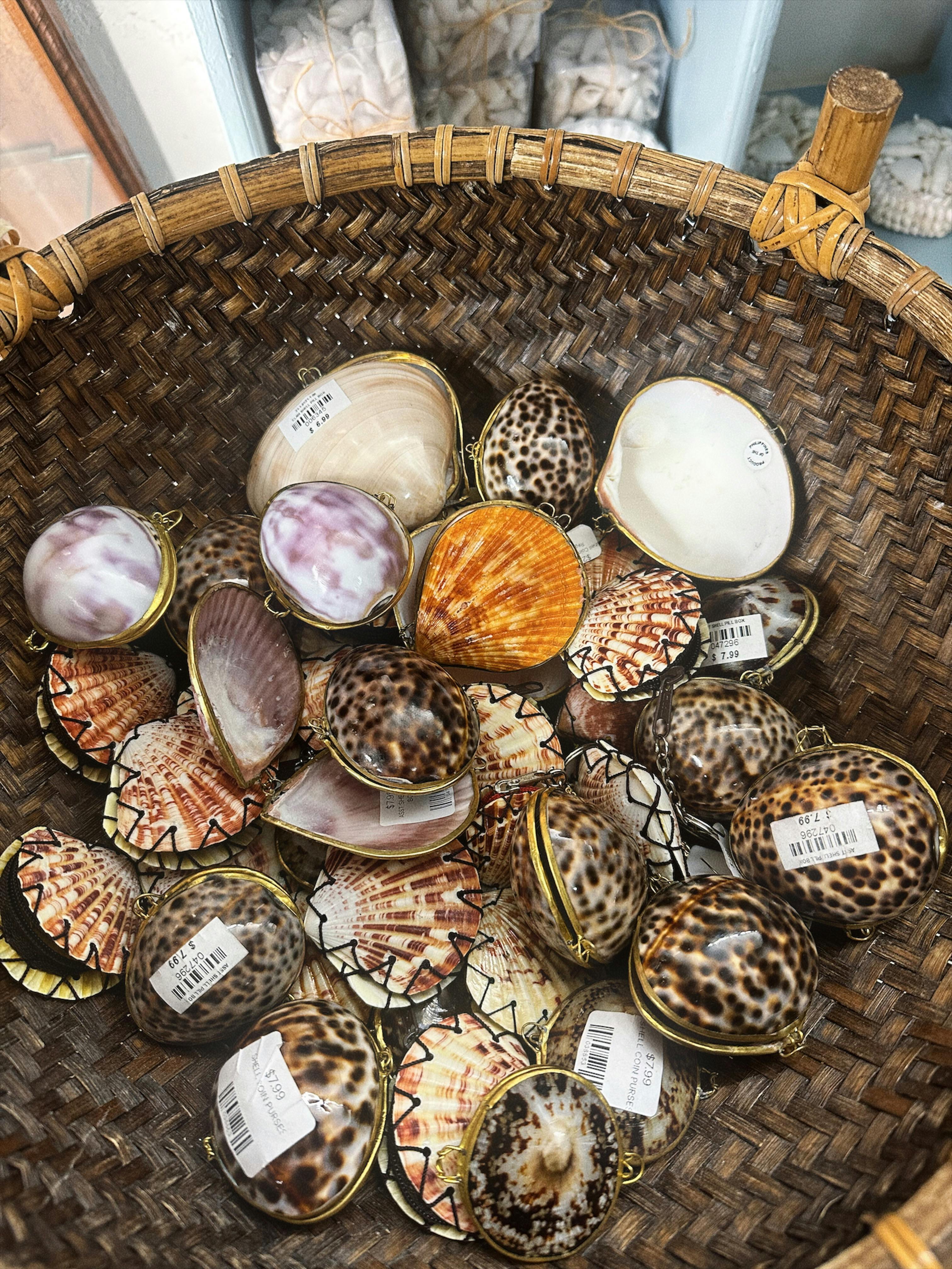 Assorted Seashells in Woven Basket Display · Free Stock Photo