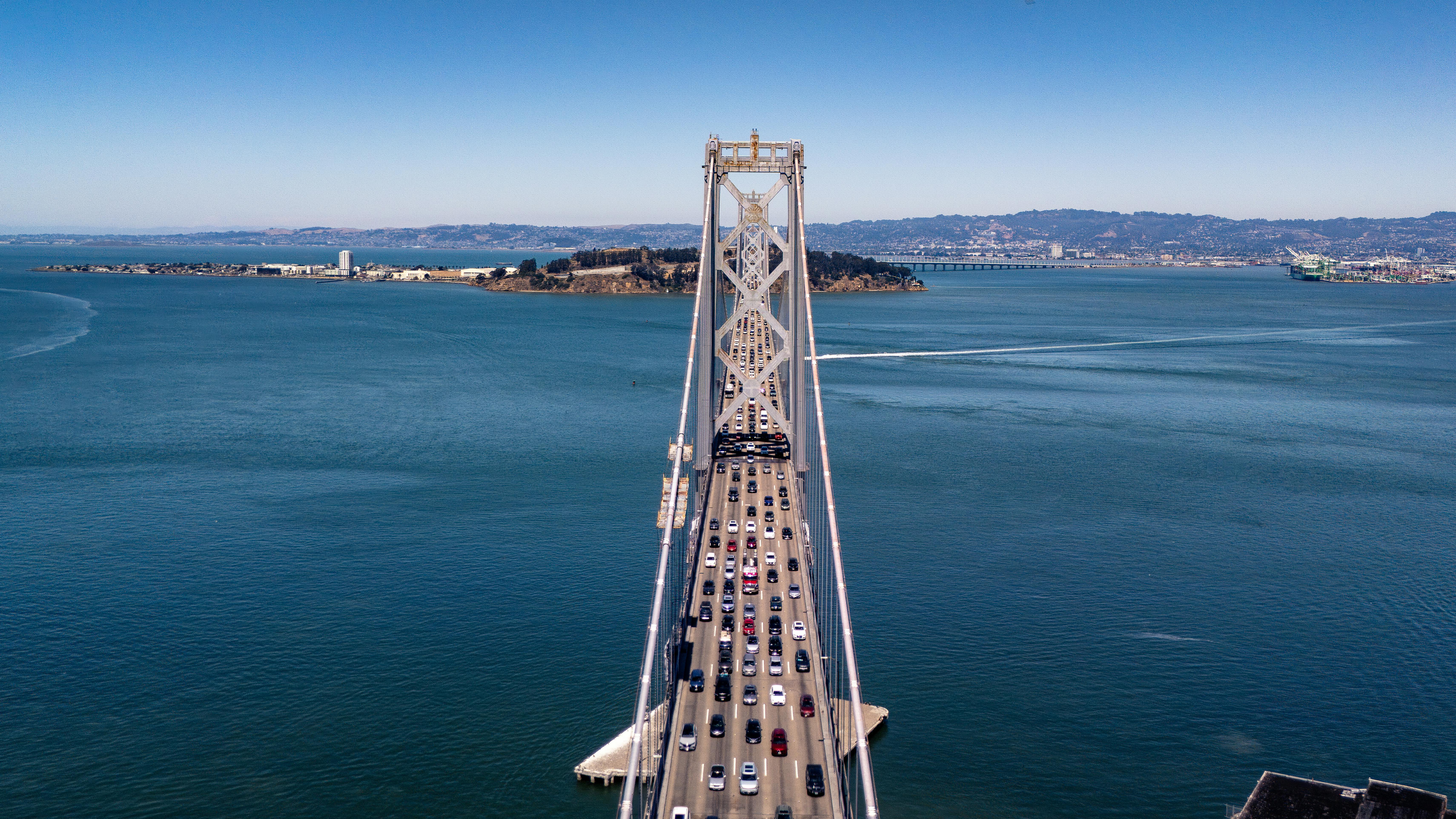 Lab Bay Binatang Photos, Download The BEST Free Lab Bay Binatang Stock ...