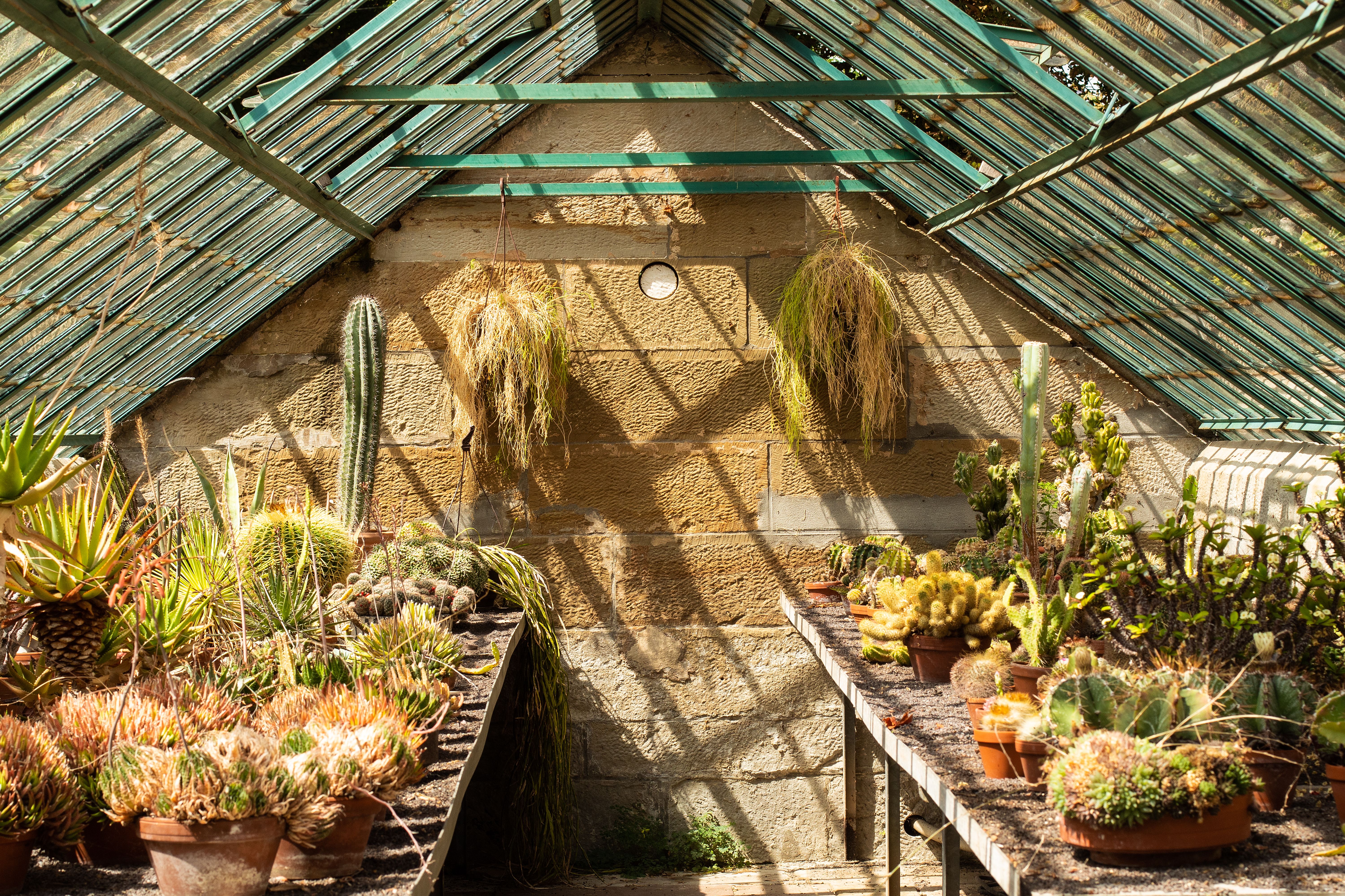 Plant Nursery Photos, Download The BEST Free Plant Nursery Stock Photos ...