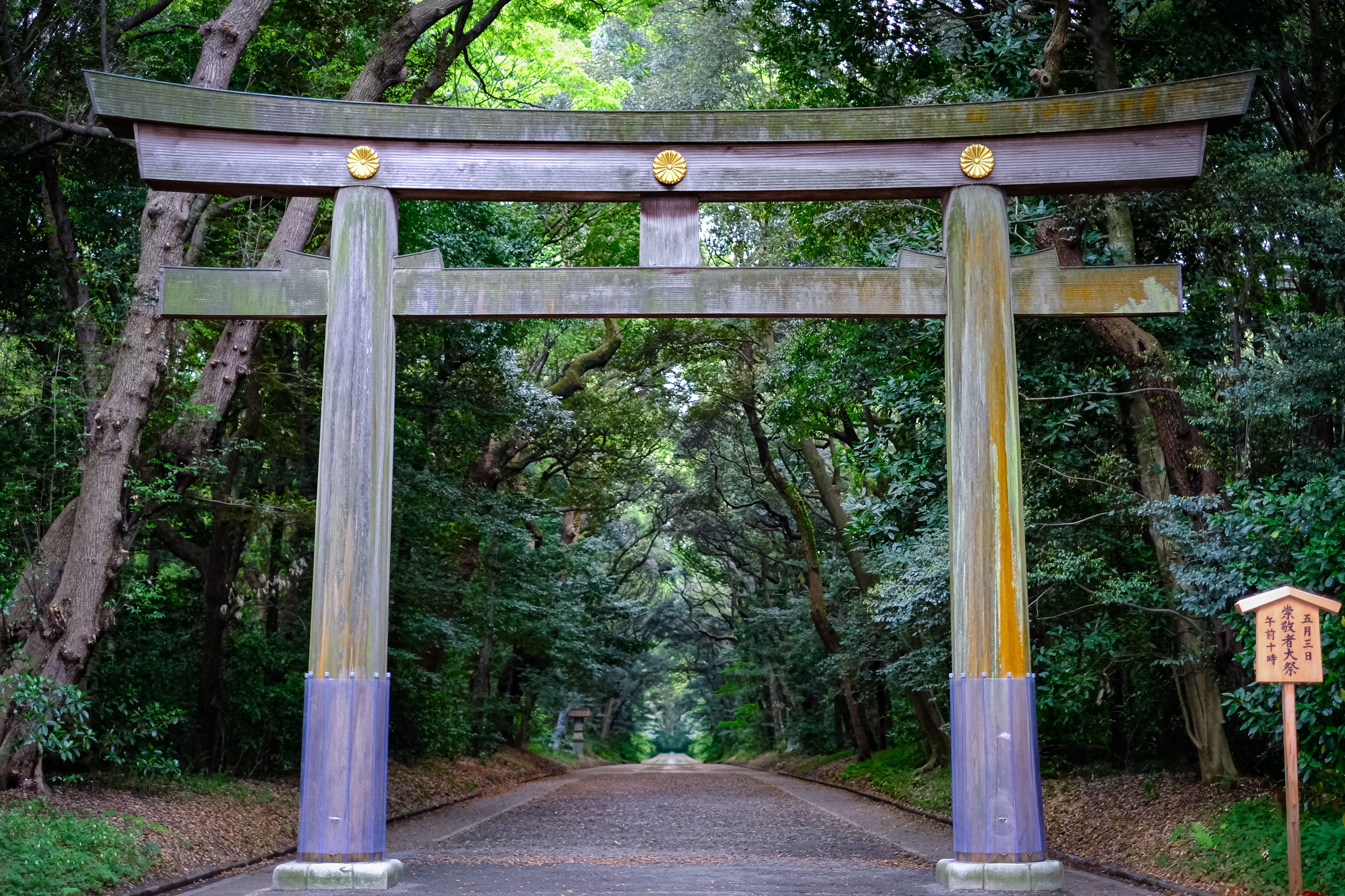 Majestic Torii Gate in Lush Forest Pathway · Free Stock Photo