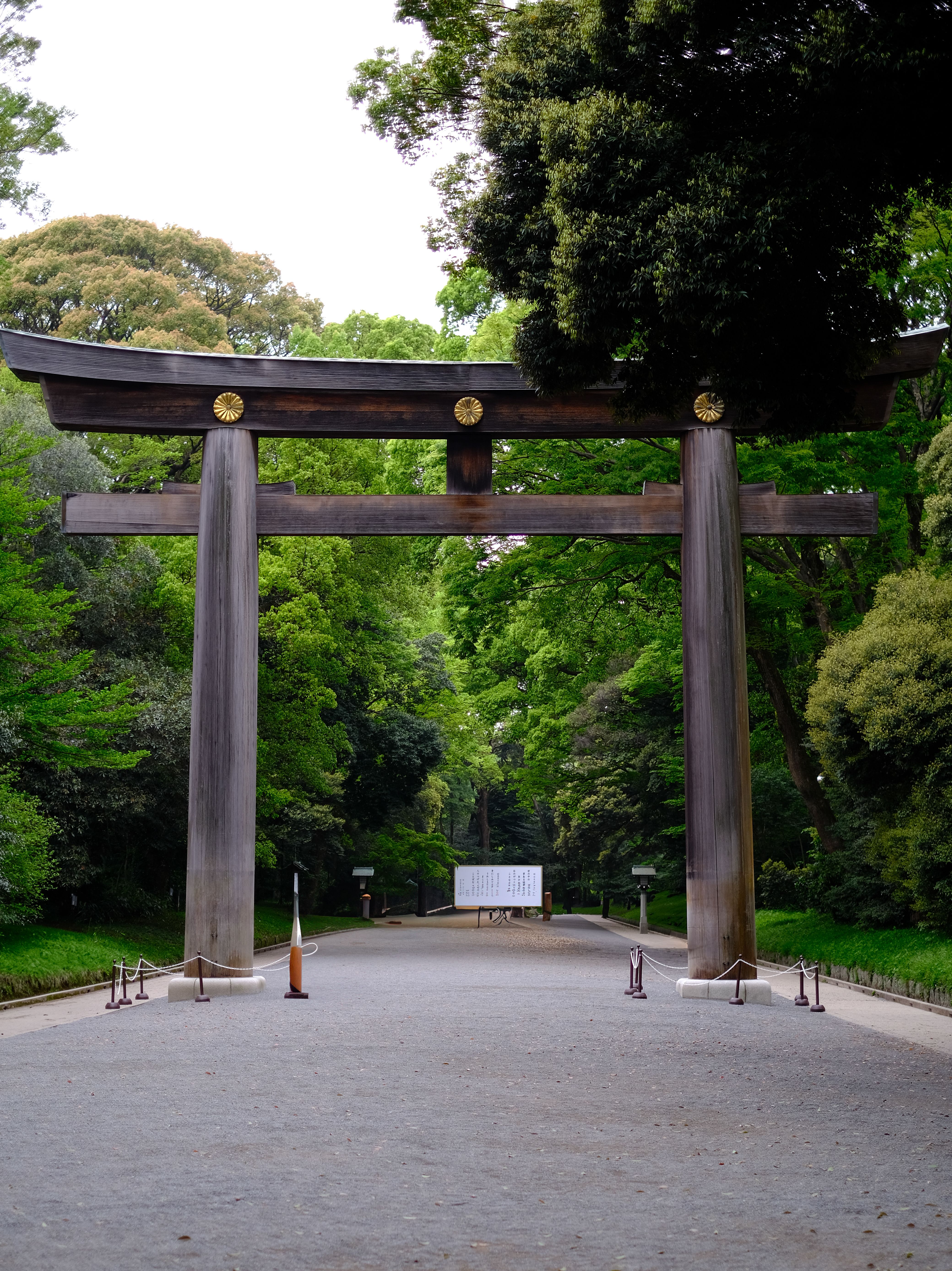 Traditional Japanese Torii Gate in a Forest Setting · Free Stock Photo