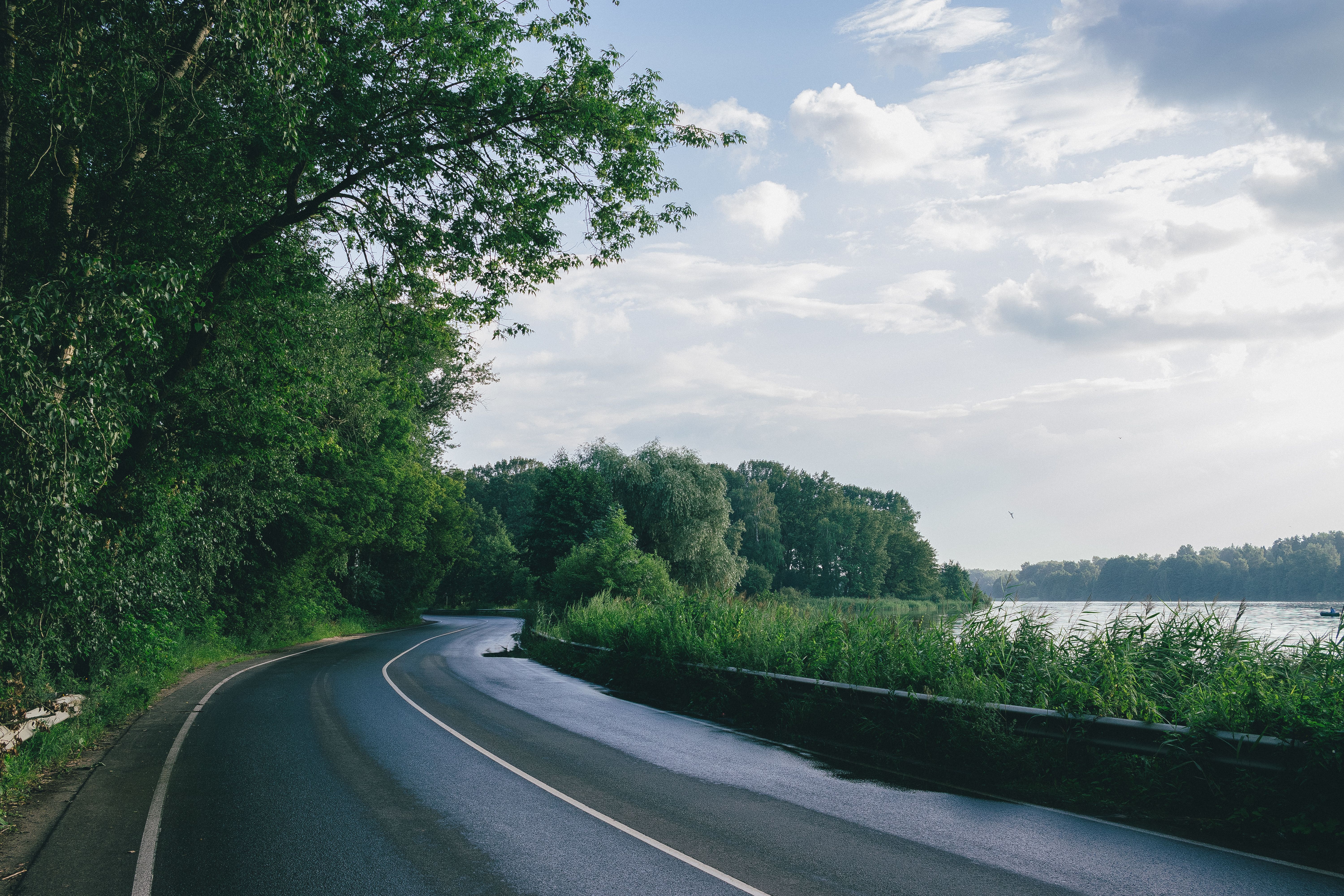 Scenic Riverside Road Through Lush Forest · Free Stock Photo