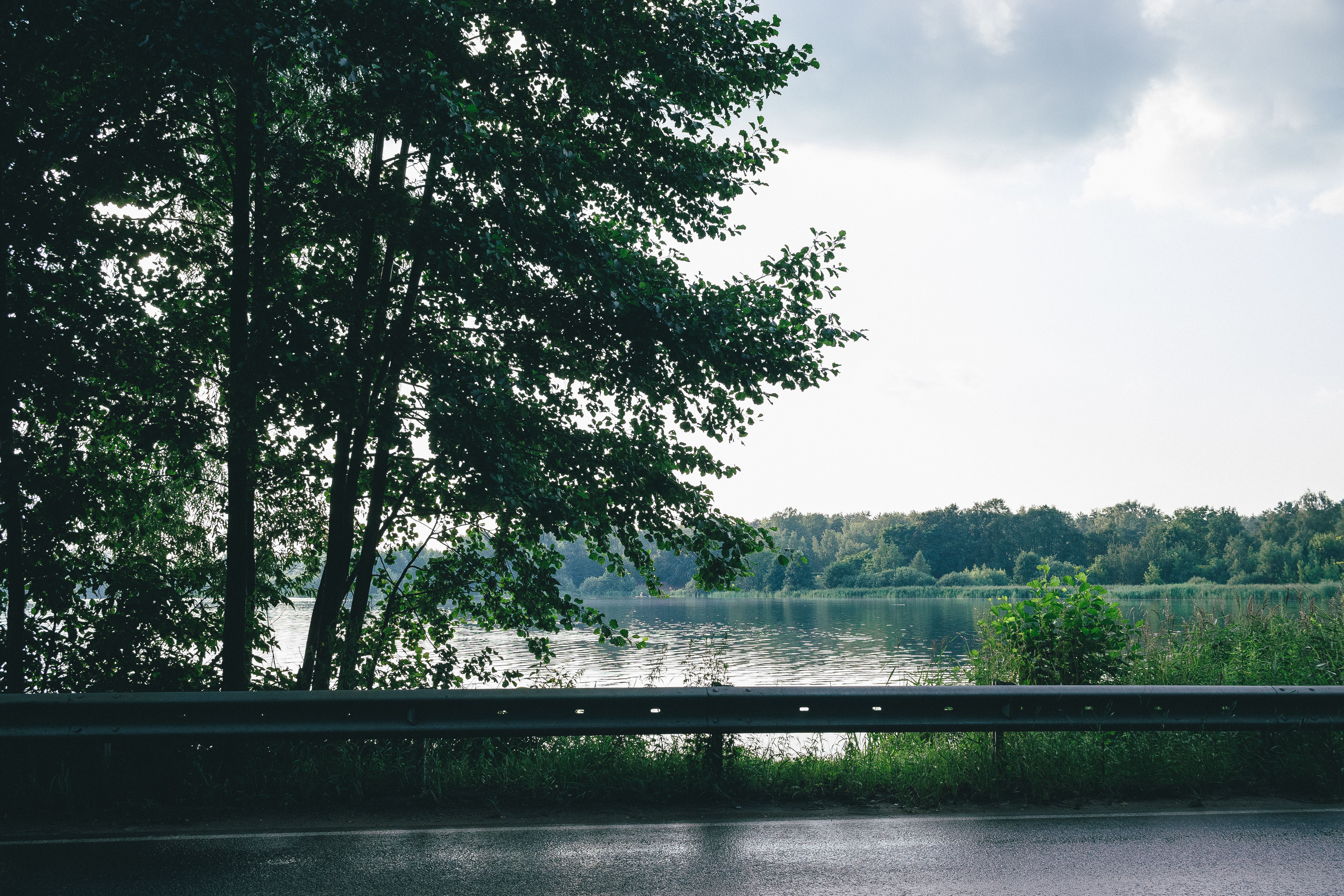 Serene Lake View with Lush Trees and Roadside · Free Stock Photo