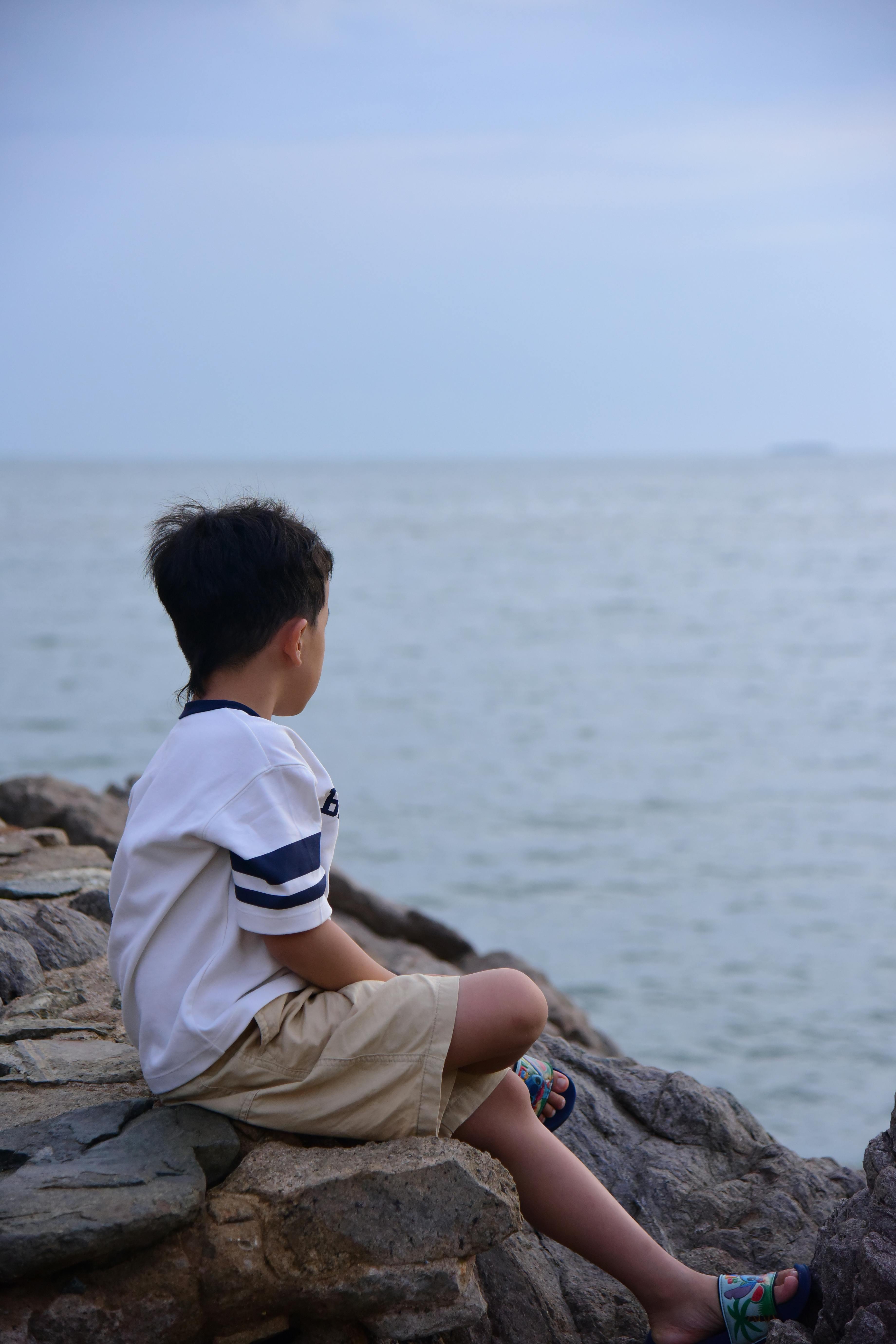 Driver+License+Front+And+Back+Picture Photos, Download The BEST Free ...