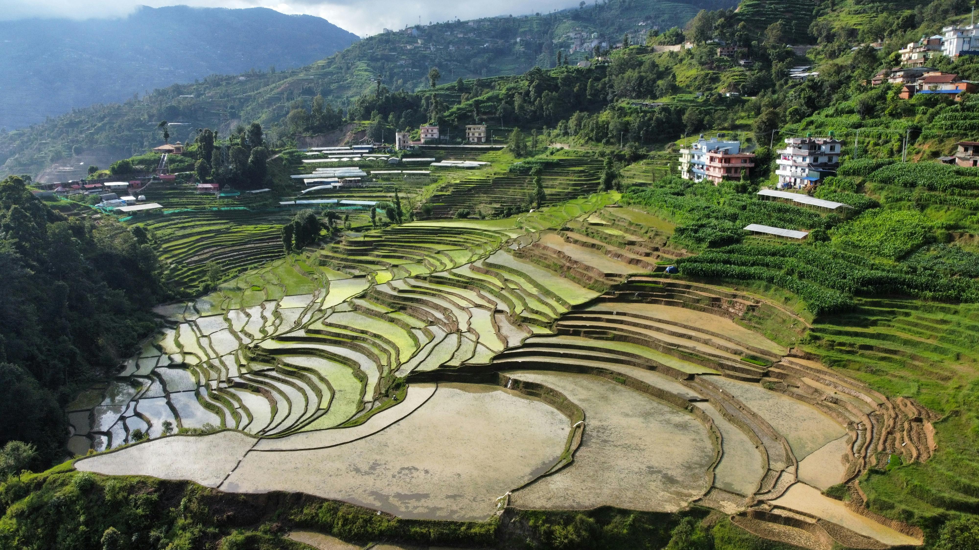 Contour Farming Photos, Download The BEST Free Contour Farming Stock ...