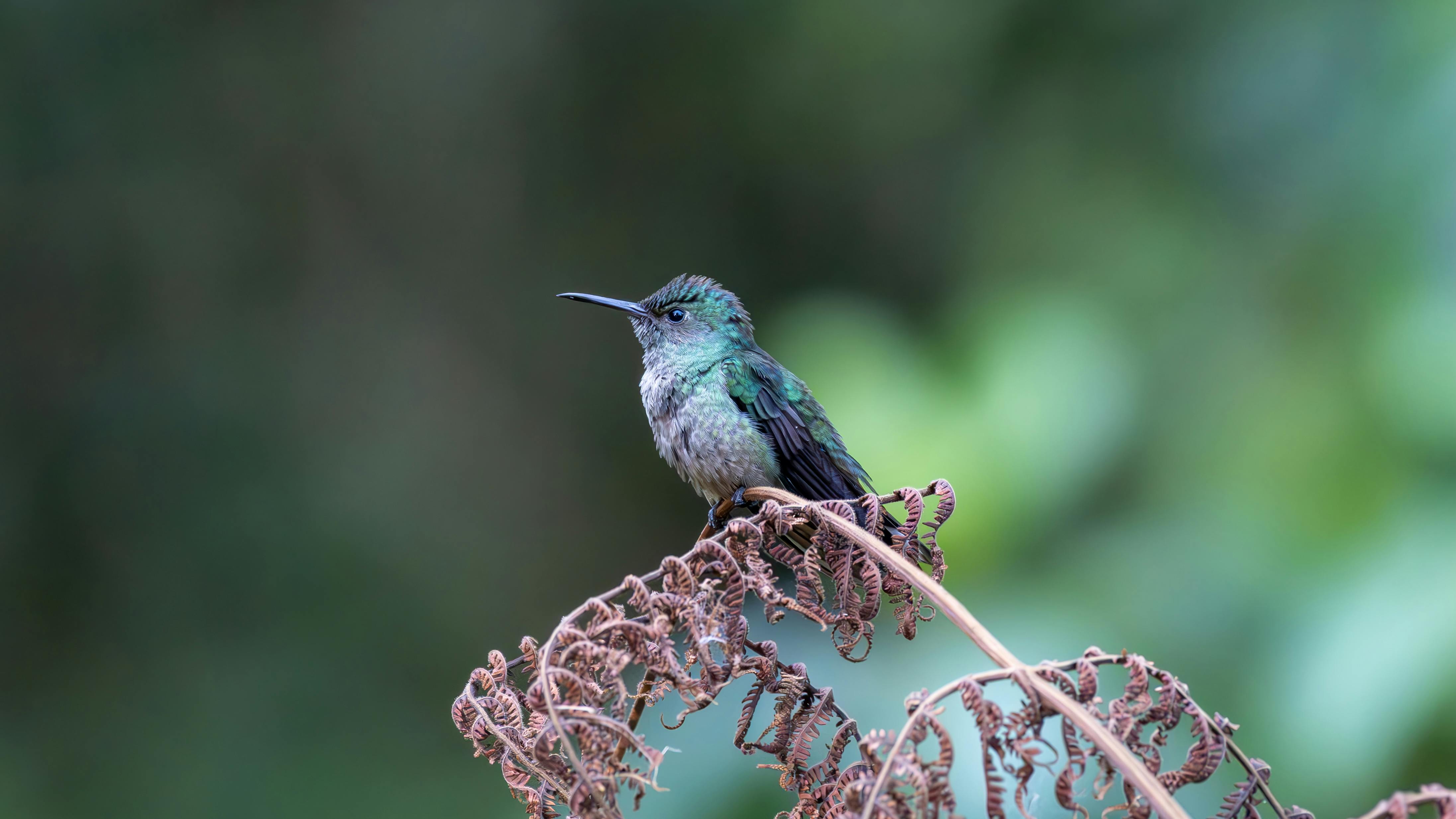 Sb19+Wallpaper+Hd Photos, Download The BEST Free Sb19+Wallpaper+Hd ...