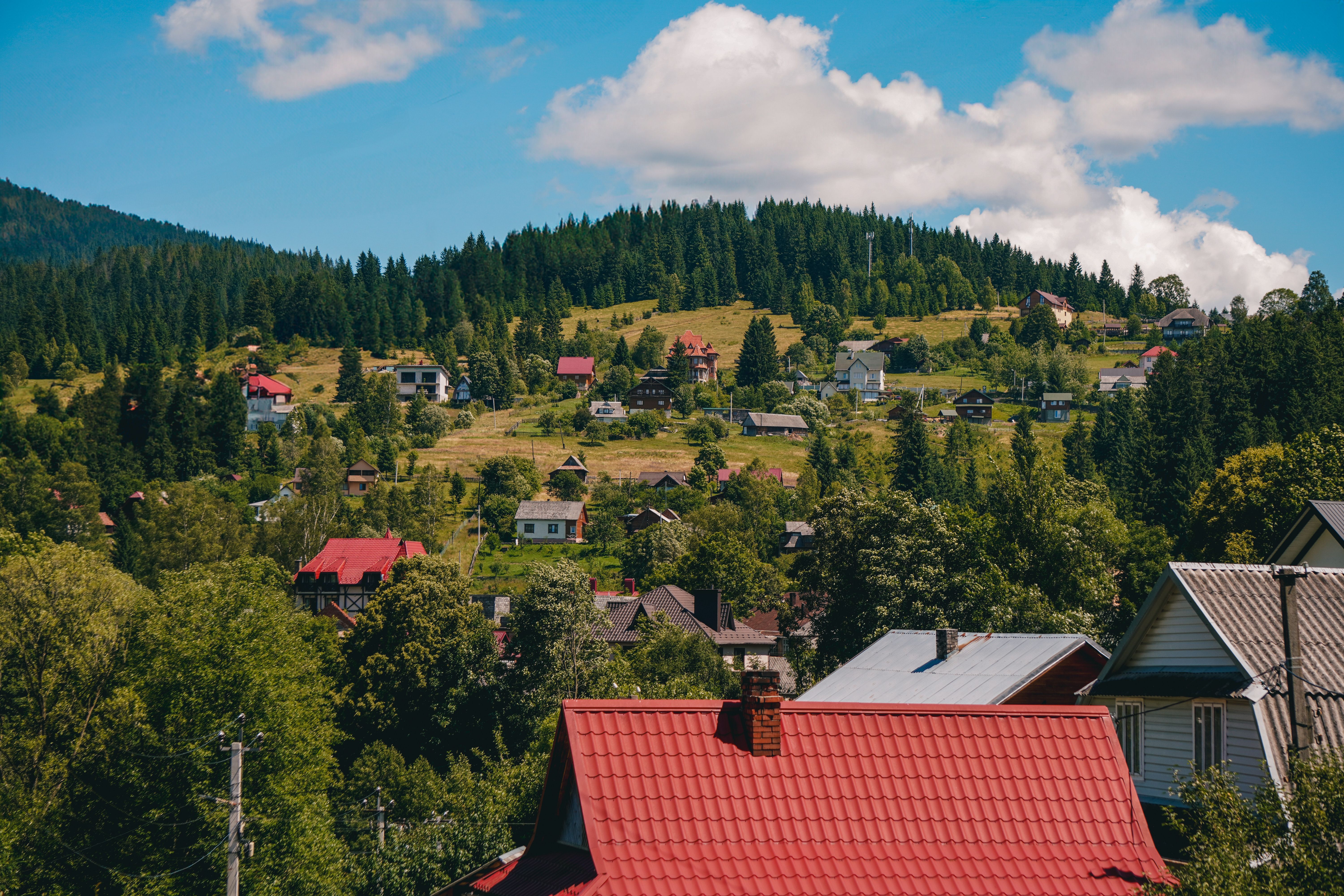 Useful? Photos, Download The BEST Free Useful? Stock Photos & HD Images