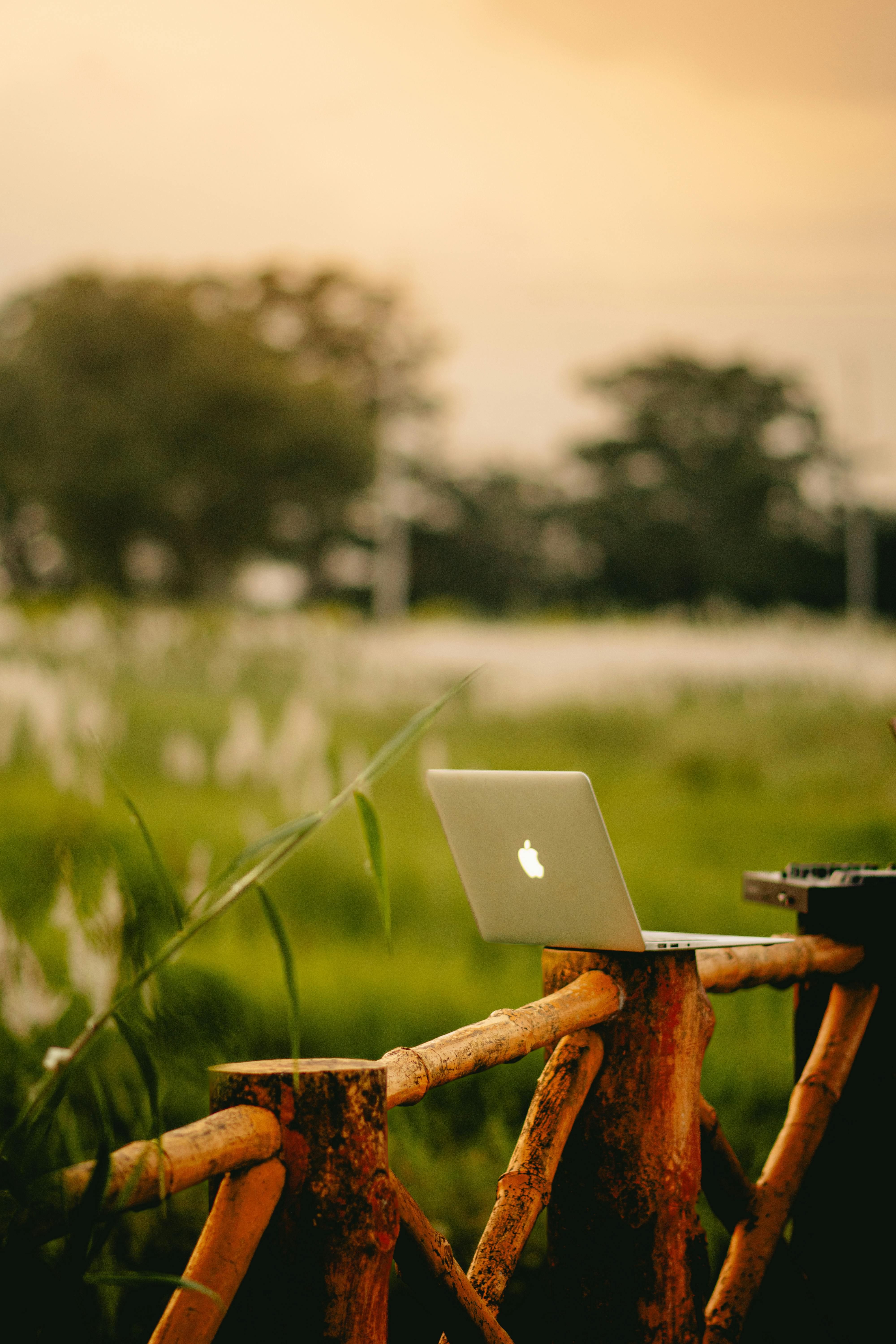 Gray and Black Laptop Computer on Grass Lawn Outdoors · Free Stock Photo