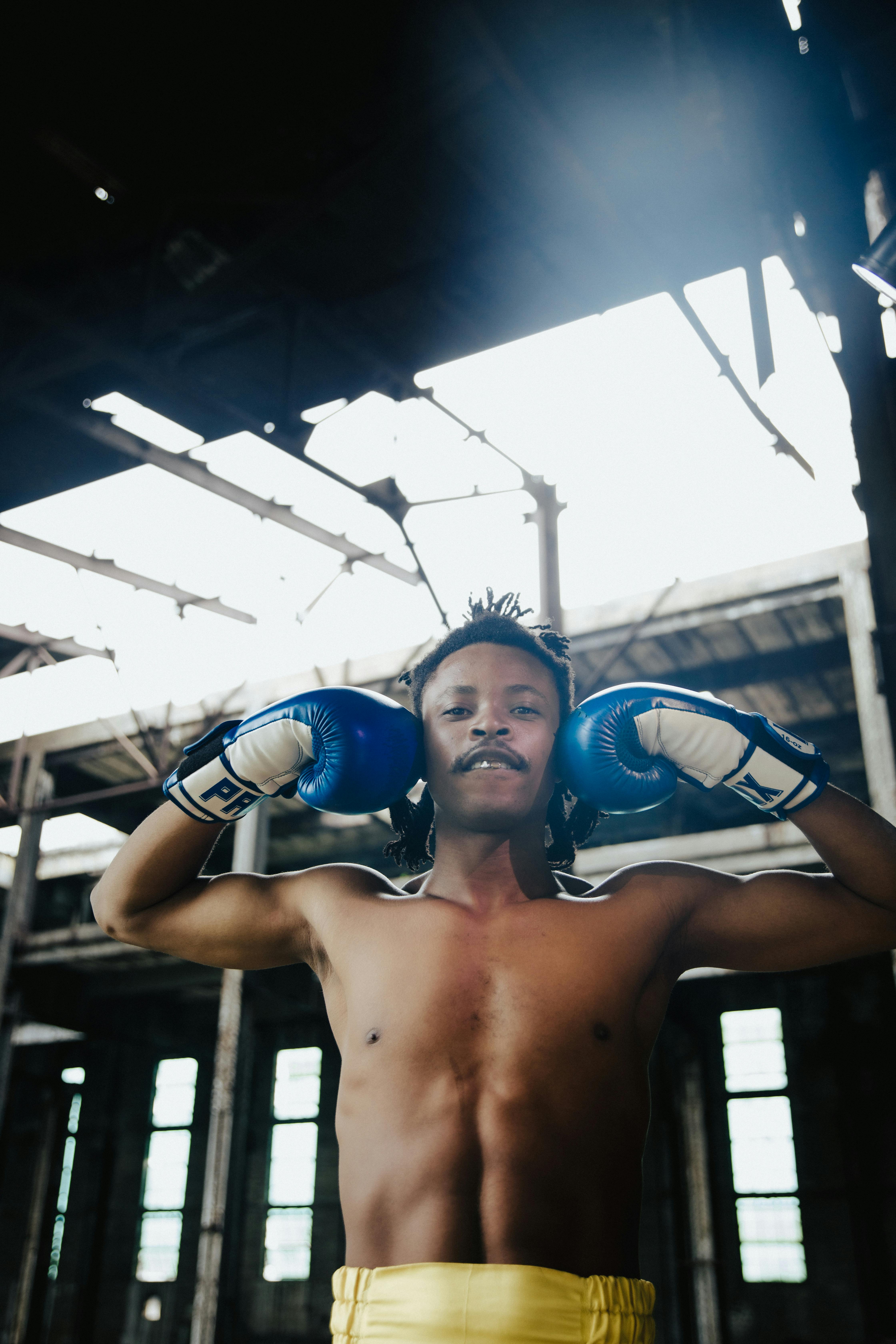 Fight Bg Photos, Download The BEST Free Fight Bg Stock Photos & HD Images