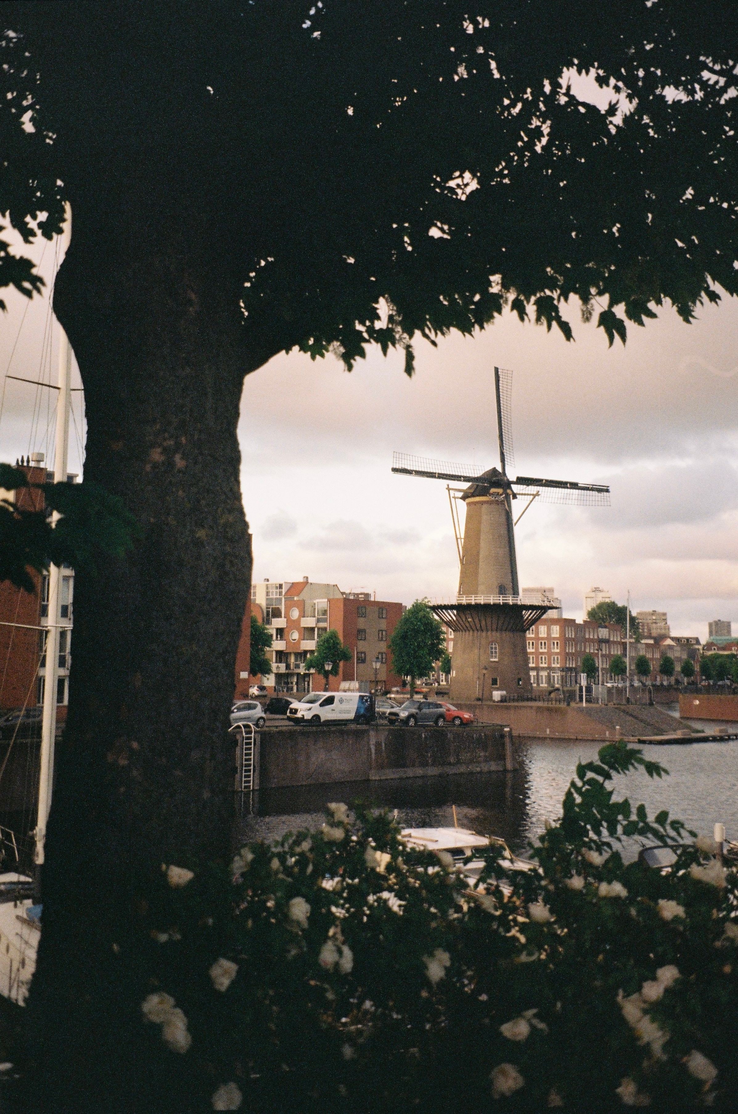Charming Windmill View in Rotterdams Urban Landscape · Free Stock Photo