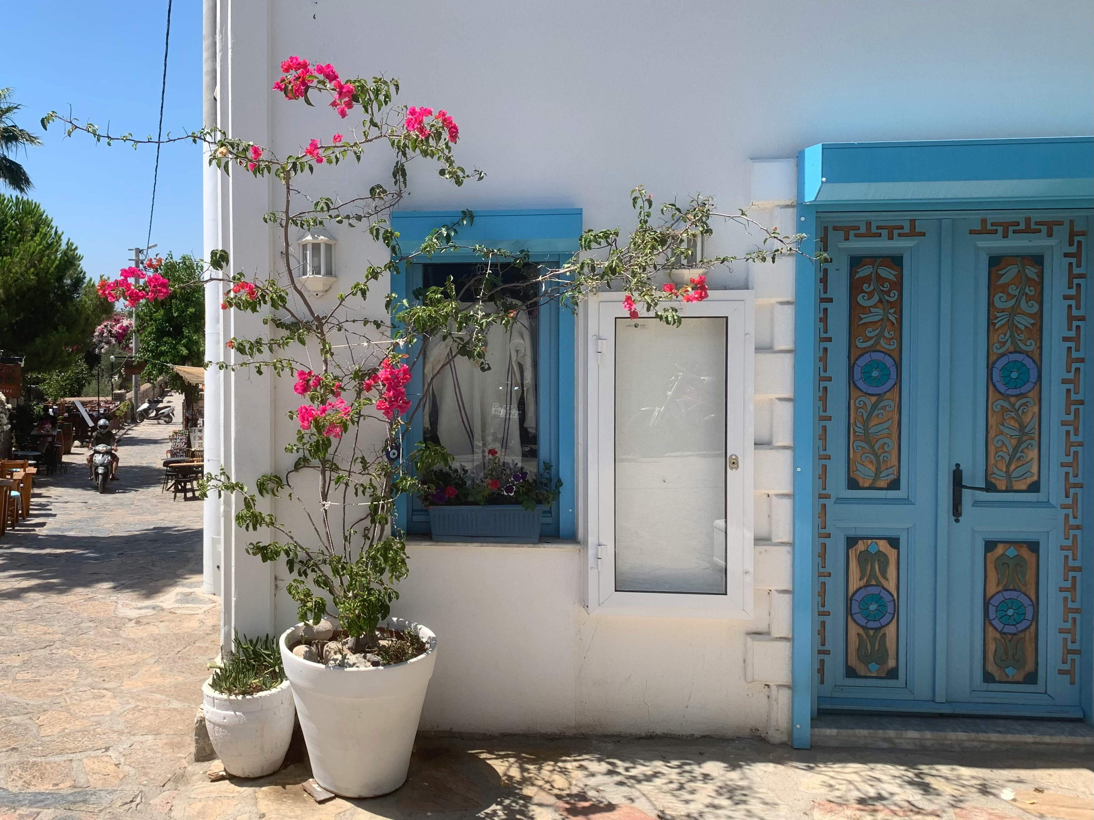 Ticket House Photos, Download The BEST Free Ticket House Stock Photos ...