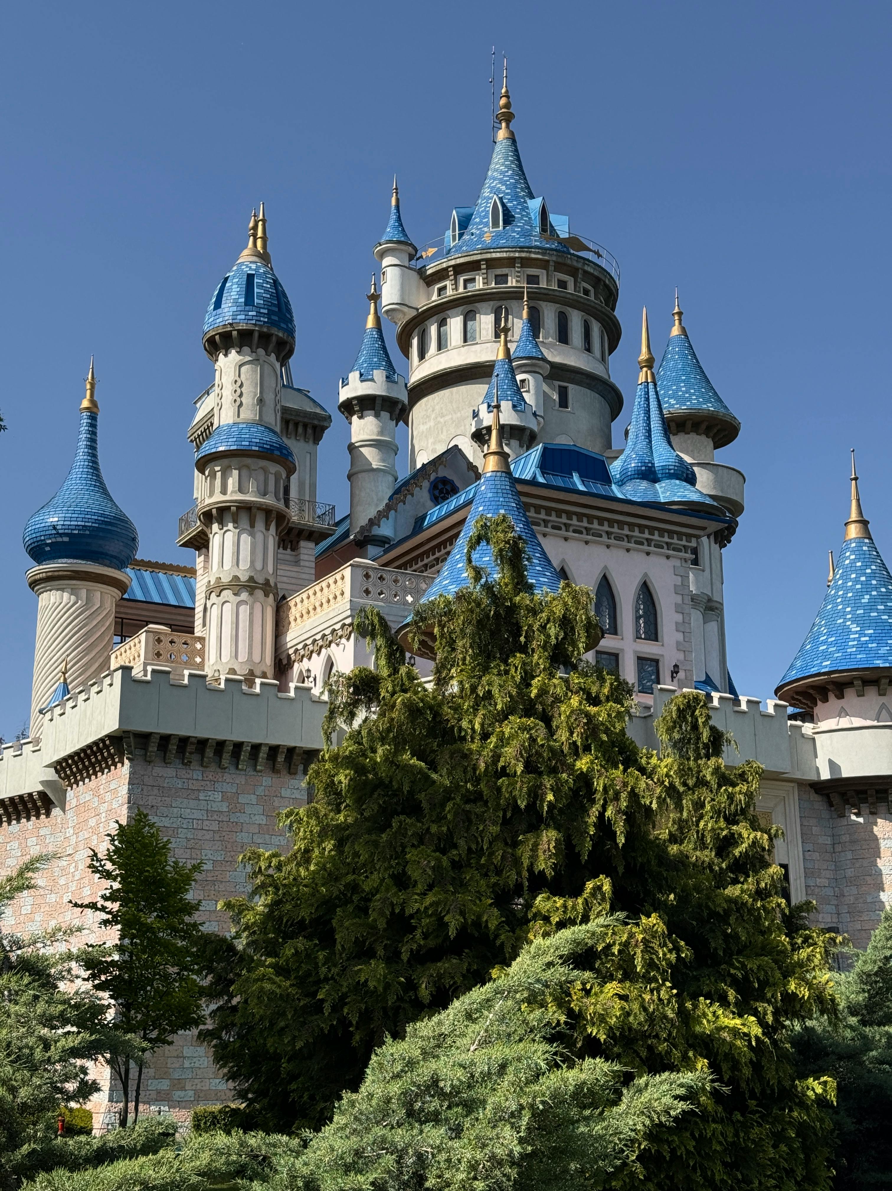 Arjun Tree Photos, Download The BEST Free Arjun Tree Stock Photos & HD ...