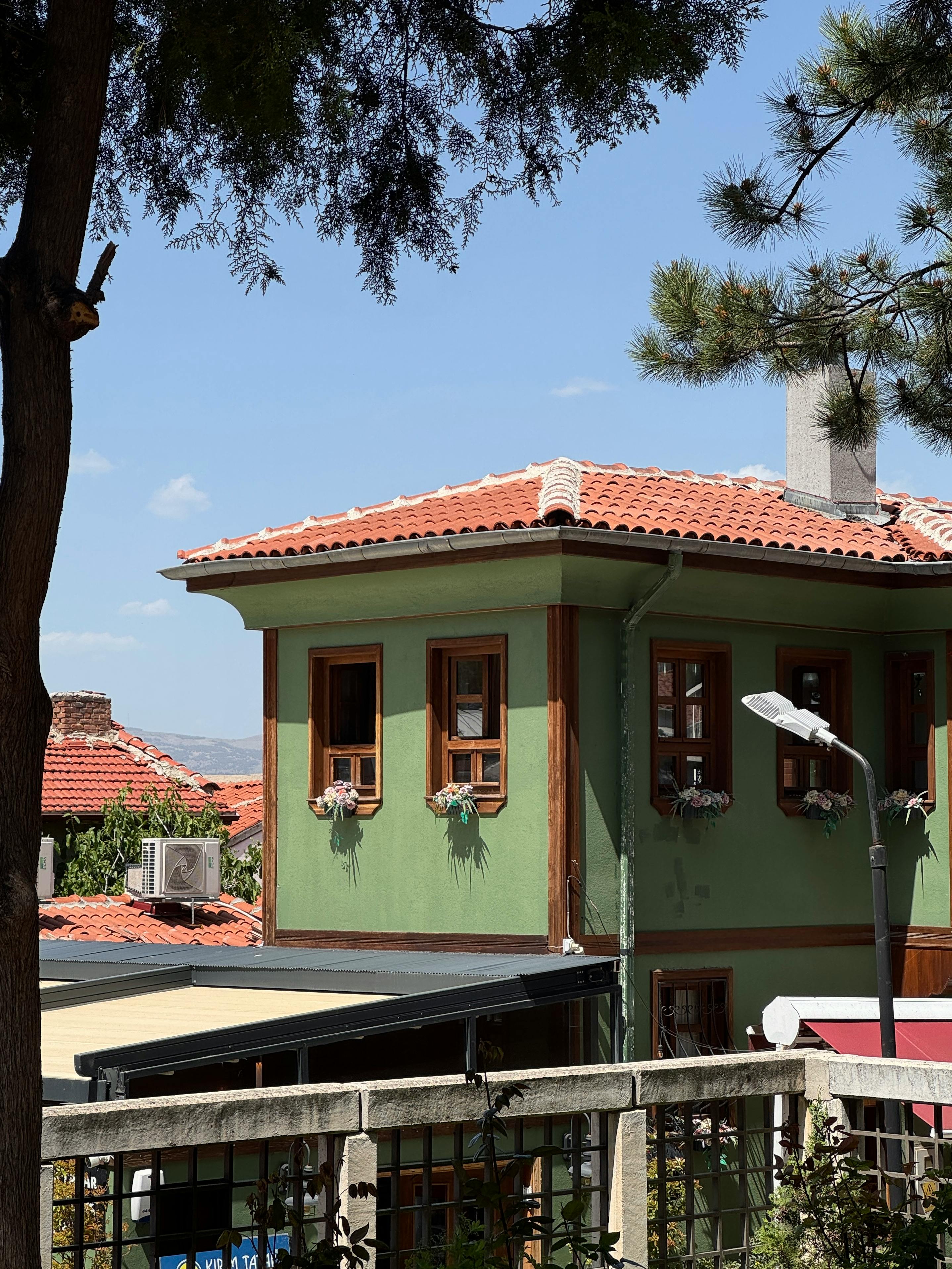 Arjun Tree Photos, Download The BEST Free Arjun Tree Stock Photos & HD ...