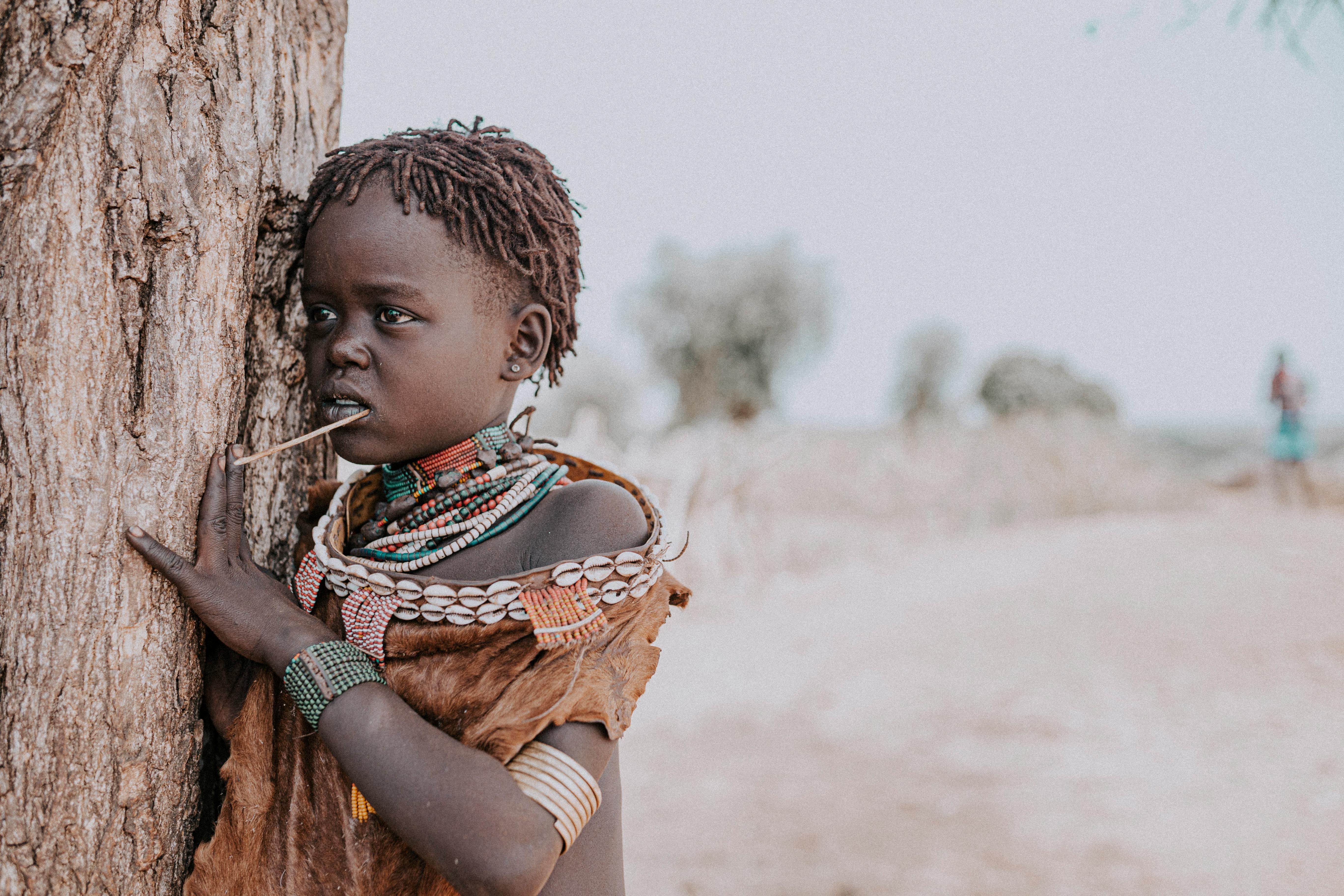 Arjun Tree Photos, Download The BEST Free Arjun Tree Stock Photos & HD ...