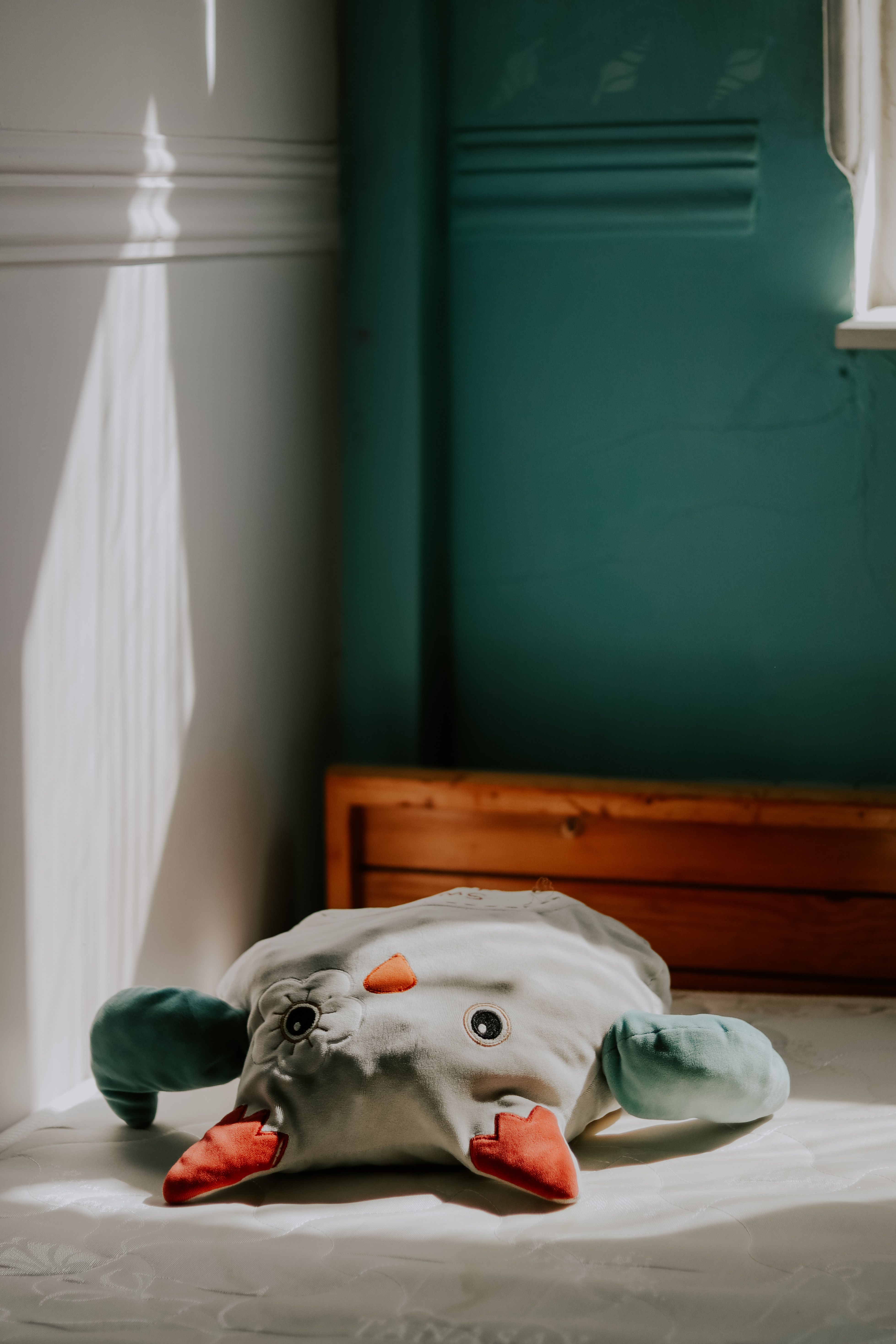 Cozy stuffed toy owl in sunny room corner · Free Stock Photo