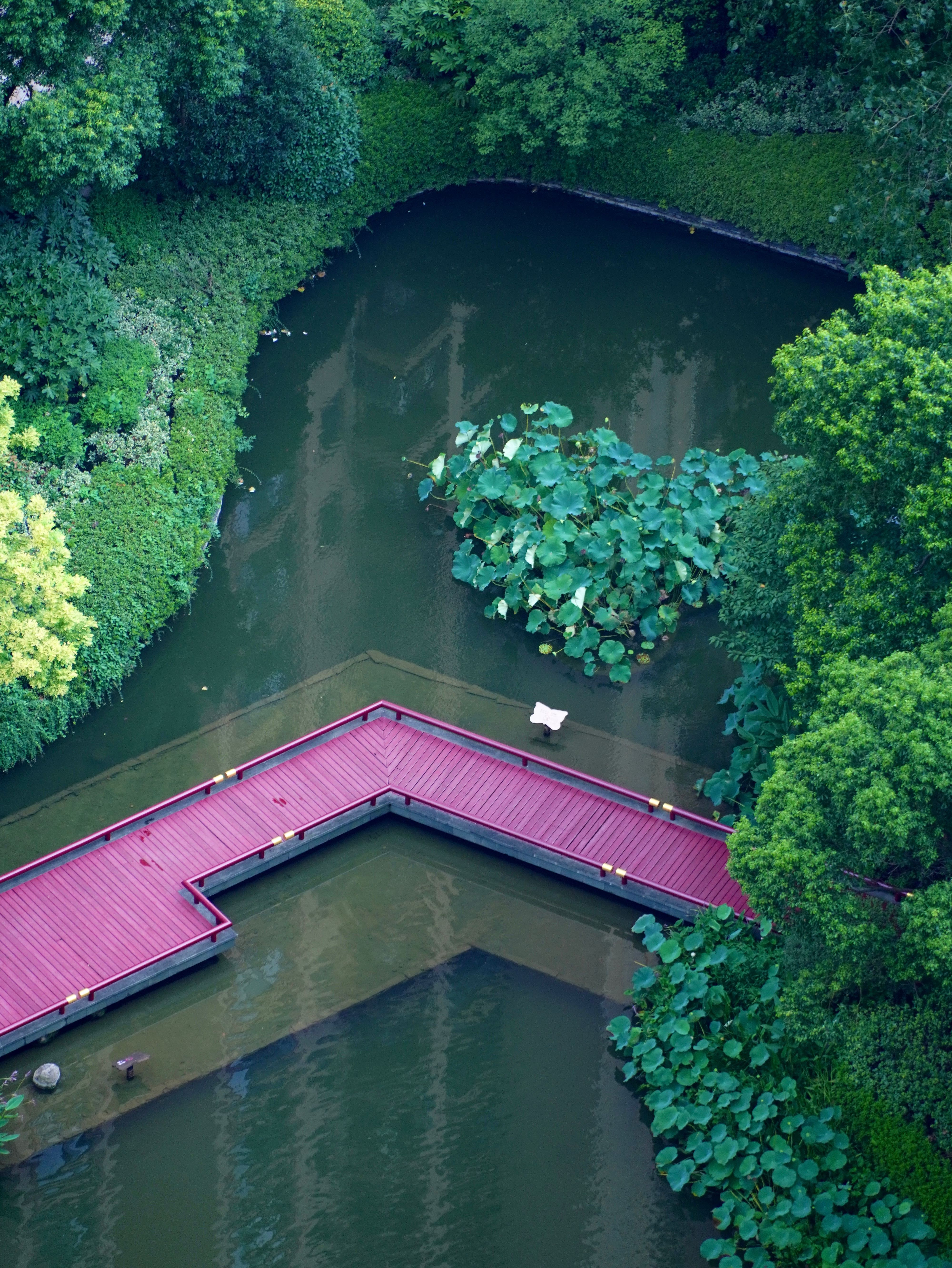 Aerial View of Red Walkway Amidst Lush Greenery · Free Stock Photo
