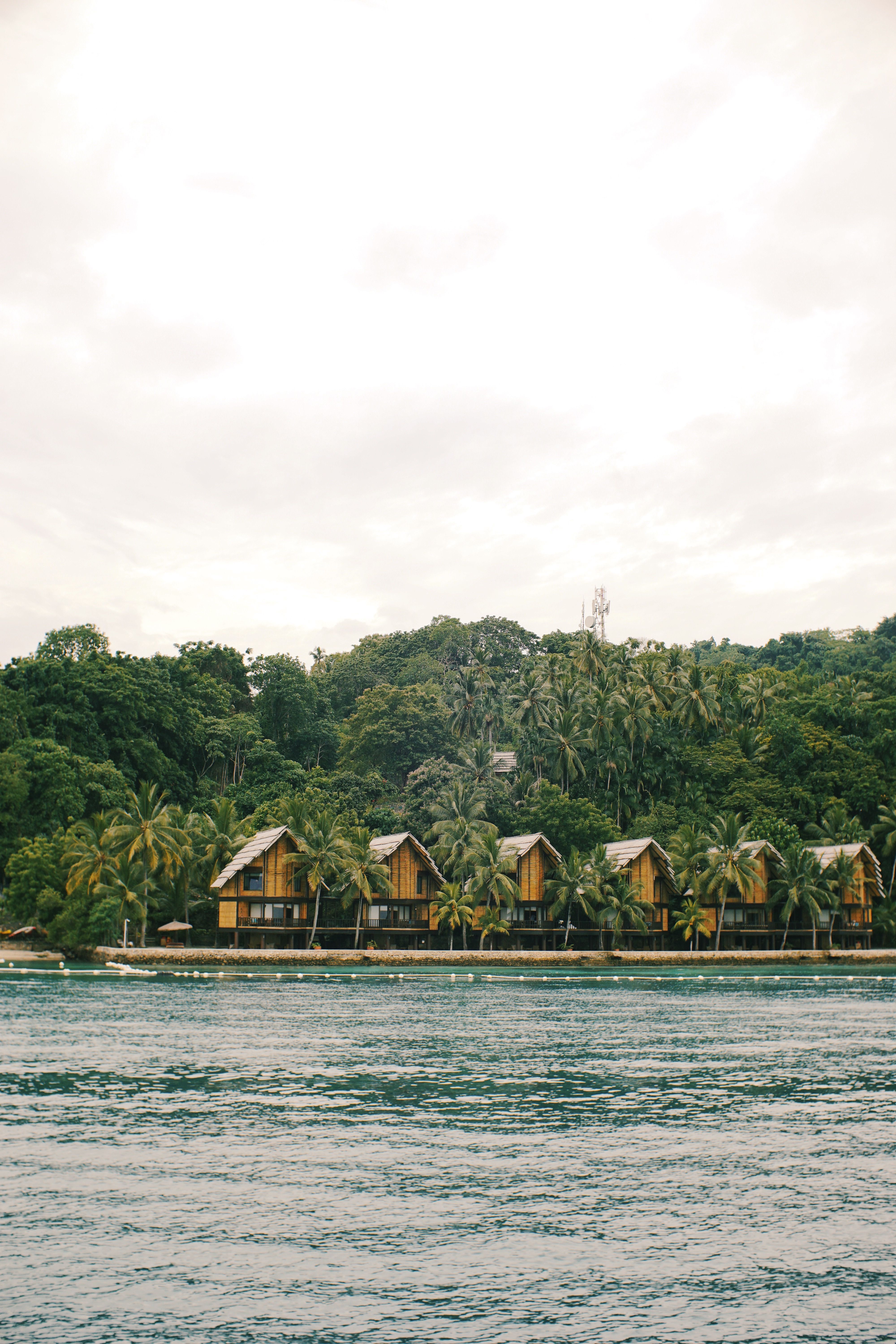 Scenic Tropical Resort by the Ocean · Free Stock Photo