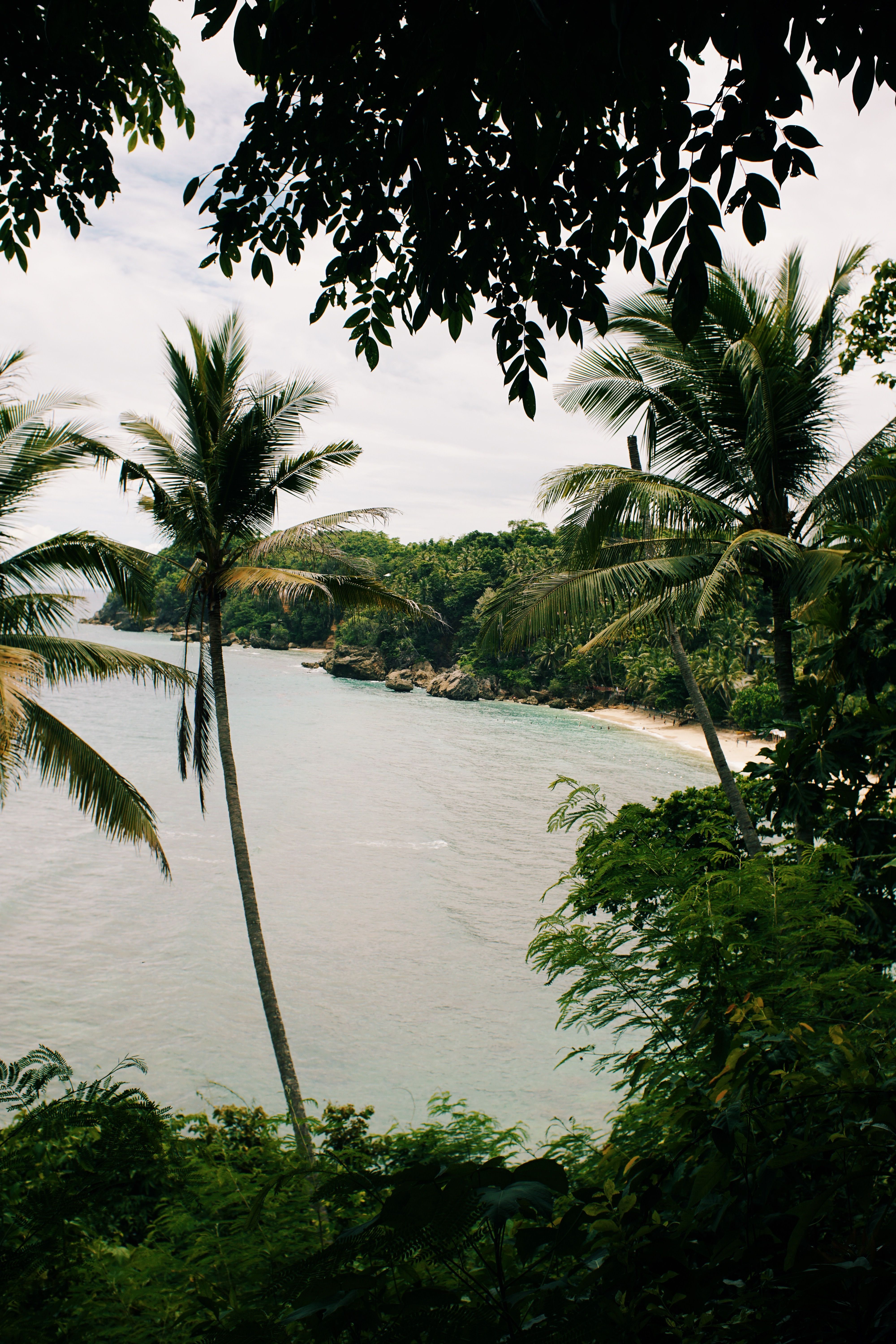 Scenic Tropical Beach Surrounded by Lush Foliage · Free Stock Photo