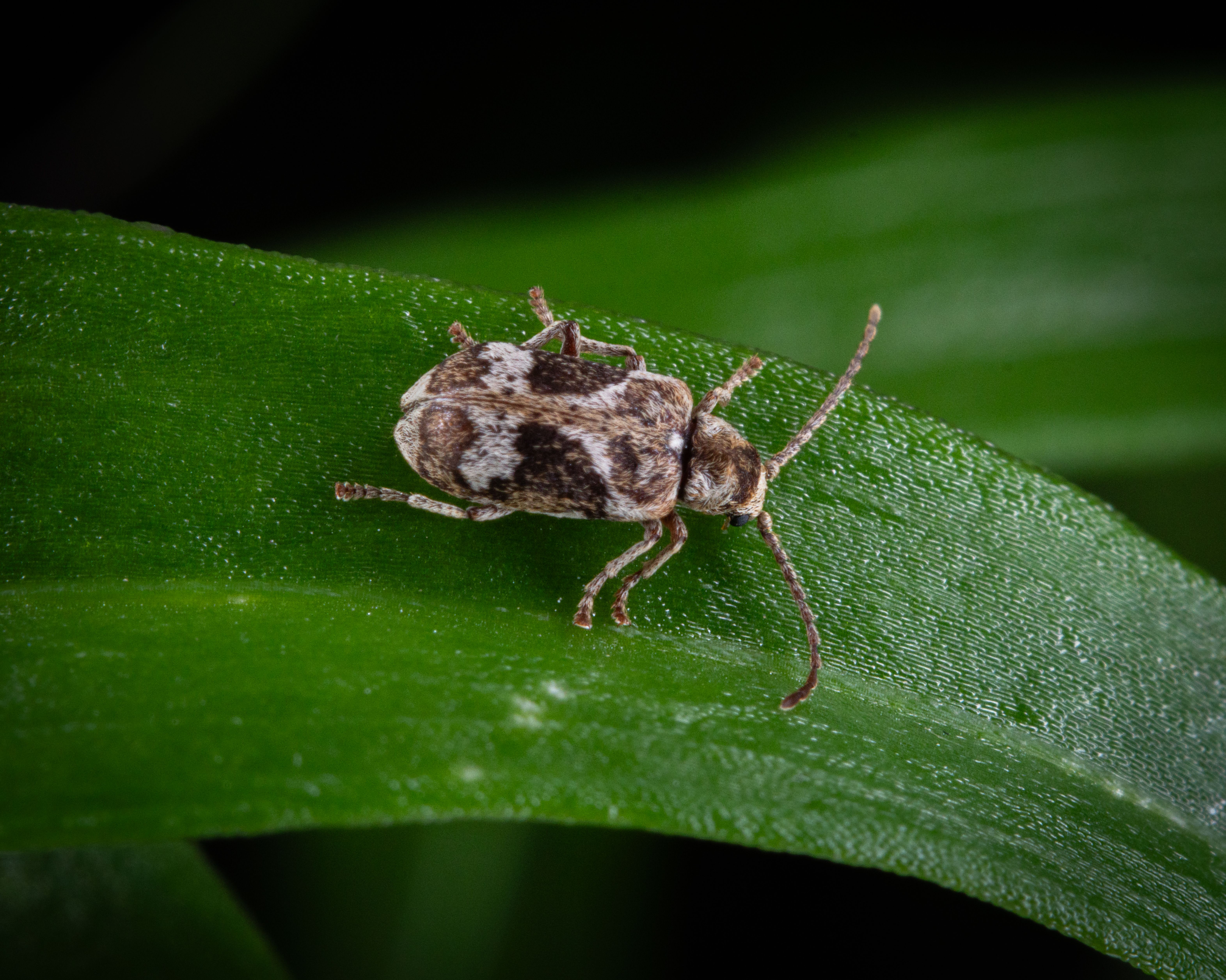 Science Biology Photos, Download The BEST Free Science Biology Stock ...