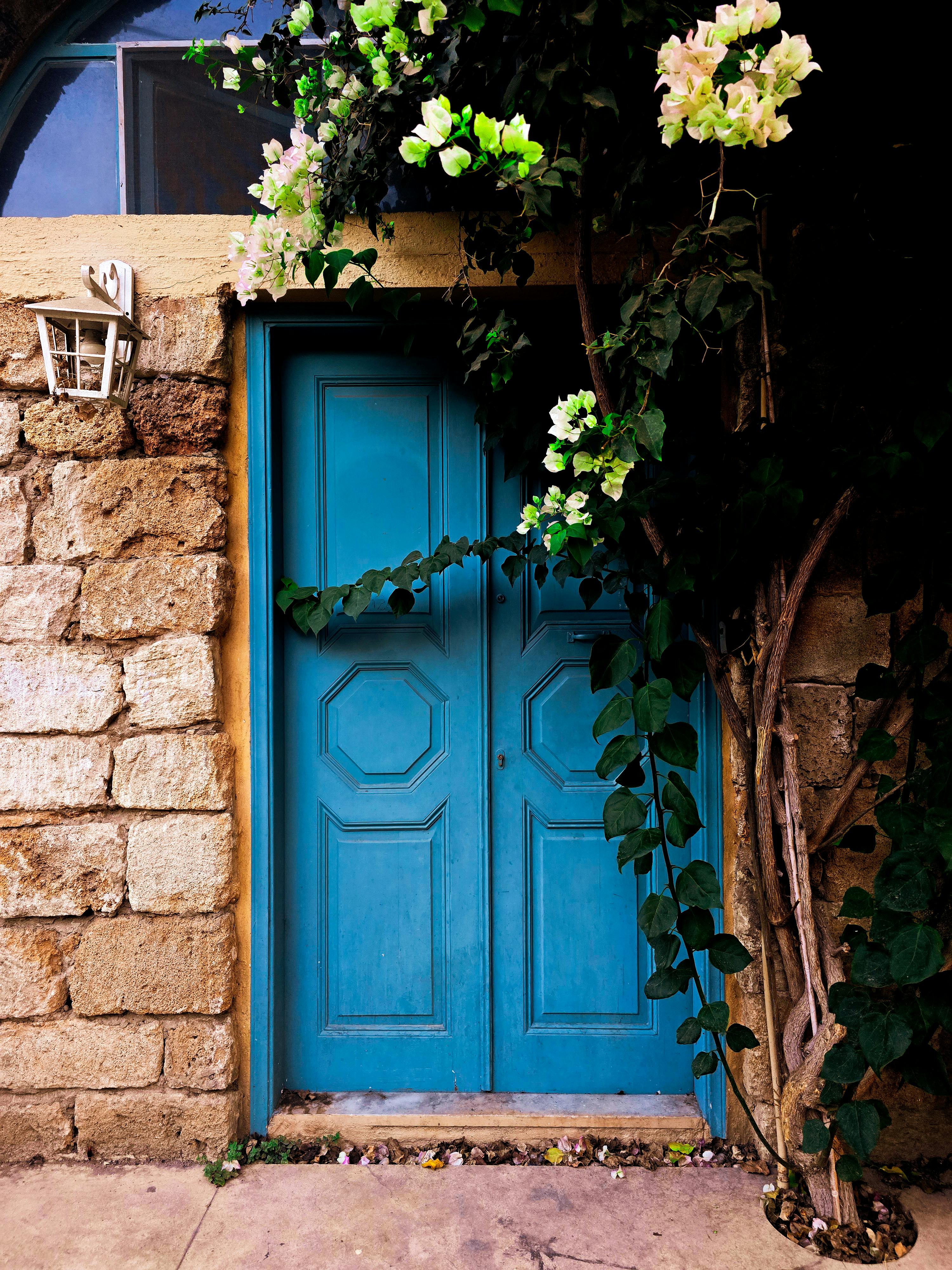 Entity Framework Photos, Download The BEST Free Entity Framework Stock Photos & HD Images